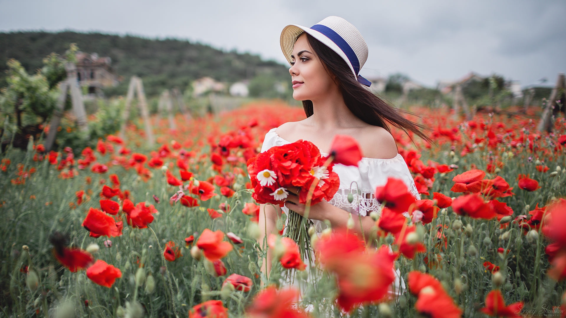 Download Red Flower Poppy Summer Depth Of Field Hat Black Hair Woman ...