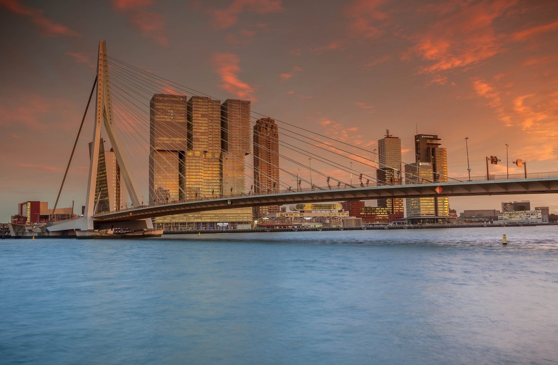 Download Man Made Rotterdam HD Wallpaper