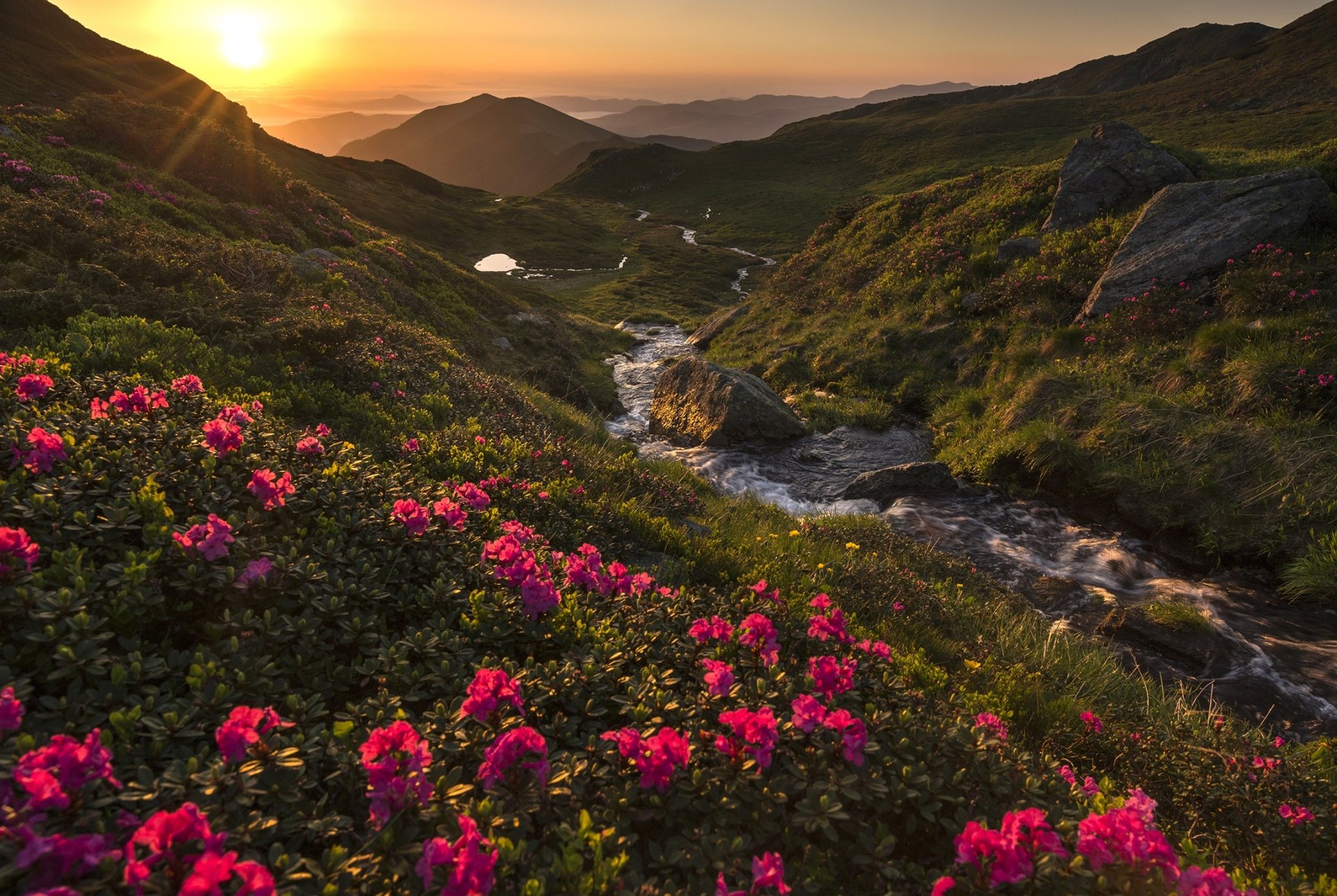 Sunlit Mountain Stream: HD Nature Landscape Bliss | 2173x1455 ...