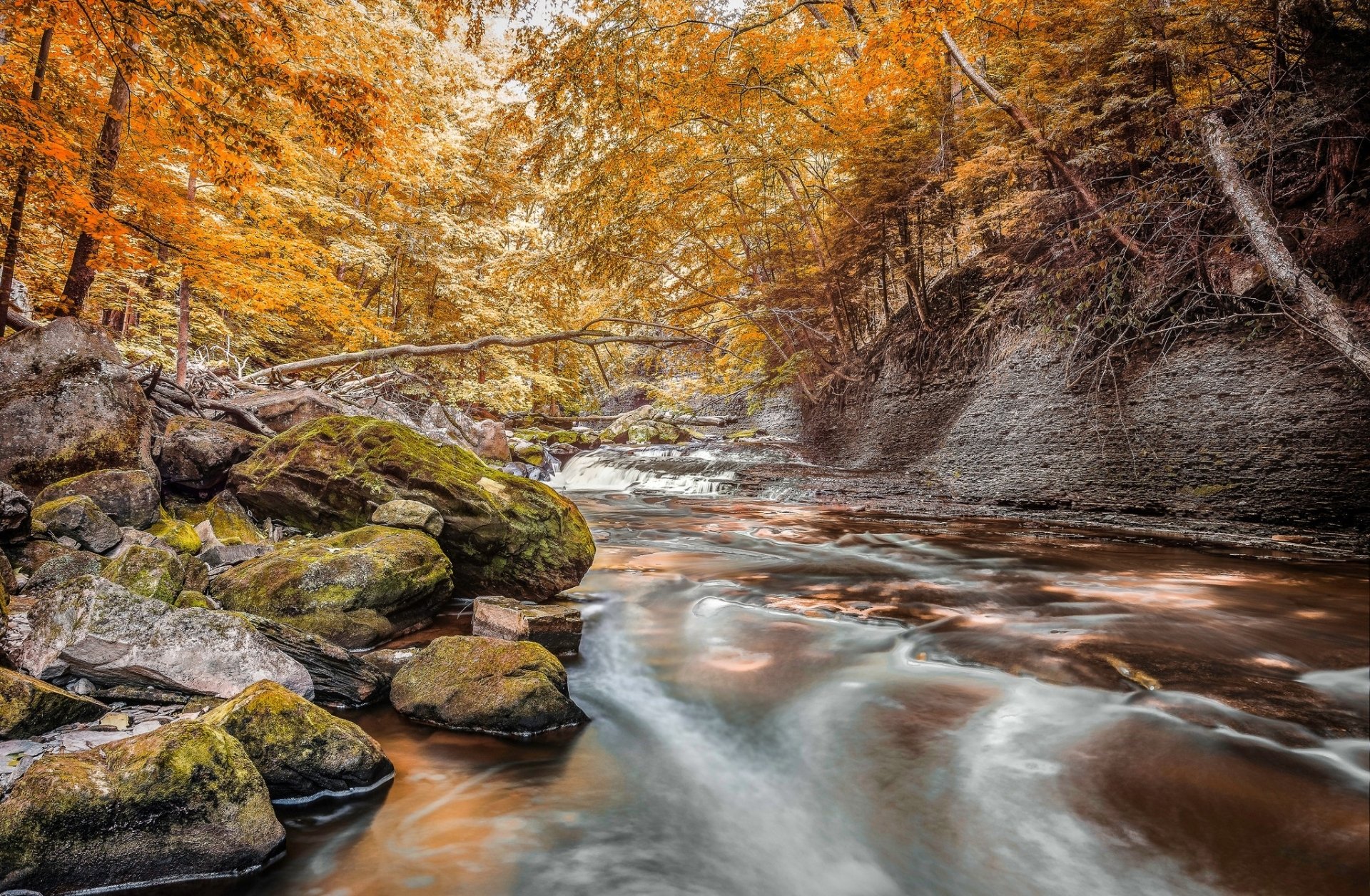 Download Tree Nature River HD Wallpaper | 2048x1340 | Wallpaper Abyss