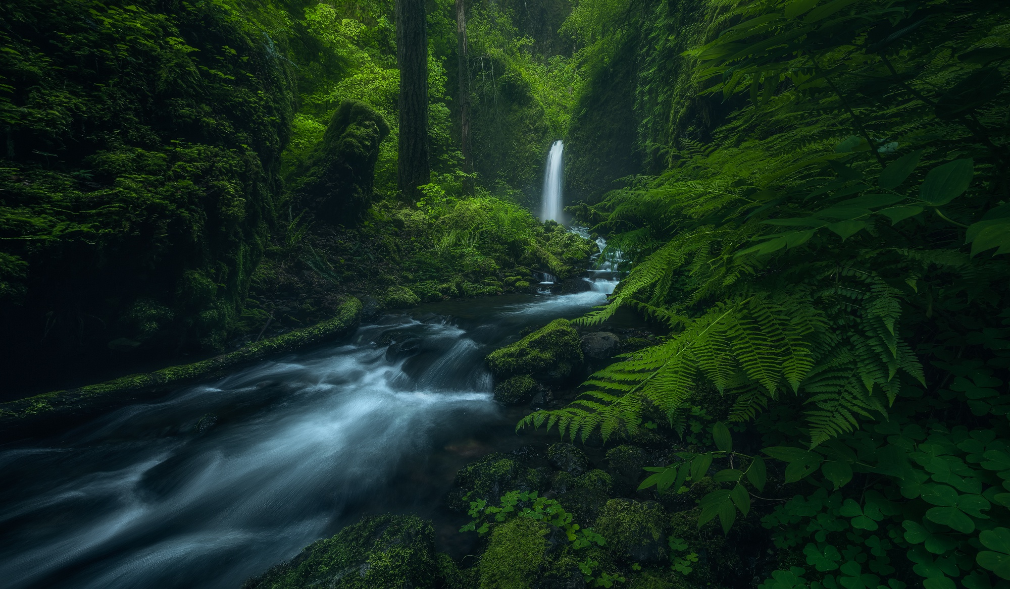 Lush Forest Stream with Serene Waterfall - HD Nature Wallpaper