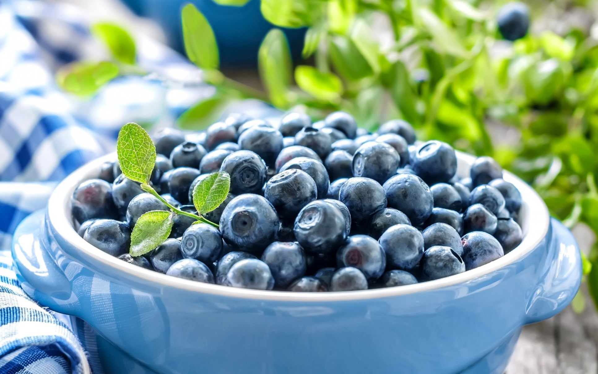Download Berry Fruit Food Blueberry HD Wallpaper