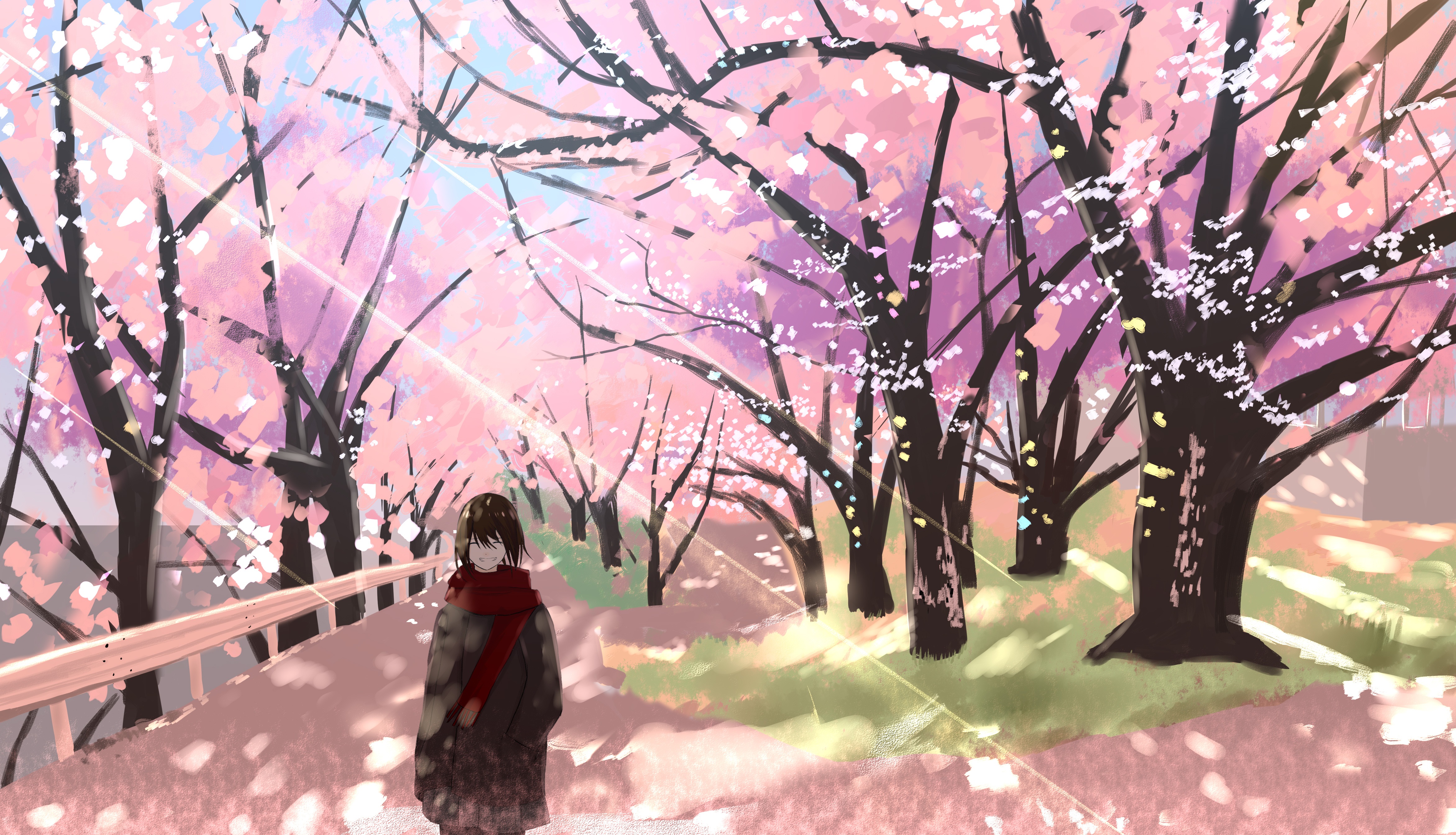 Download Spring Cherry Blossom Sakura Anime Original Spring Anime 4k ...