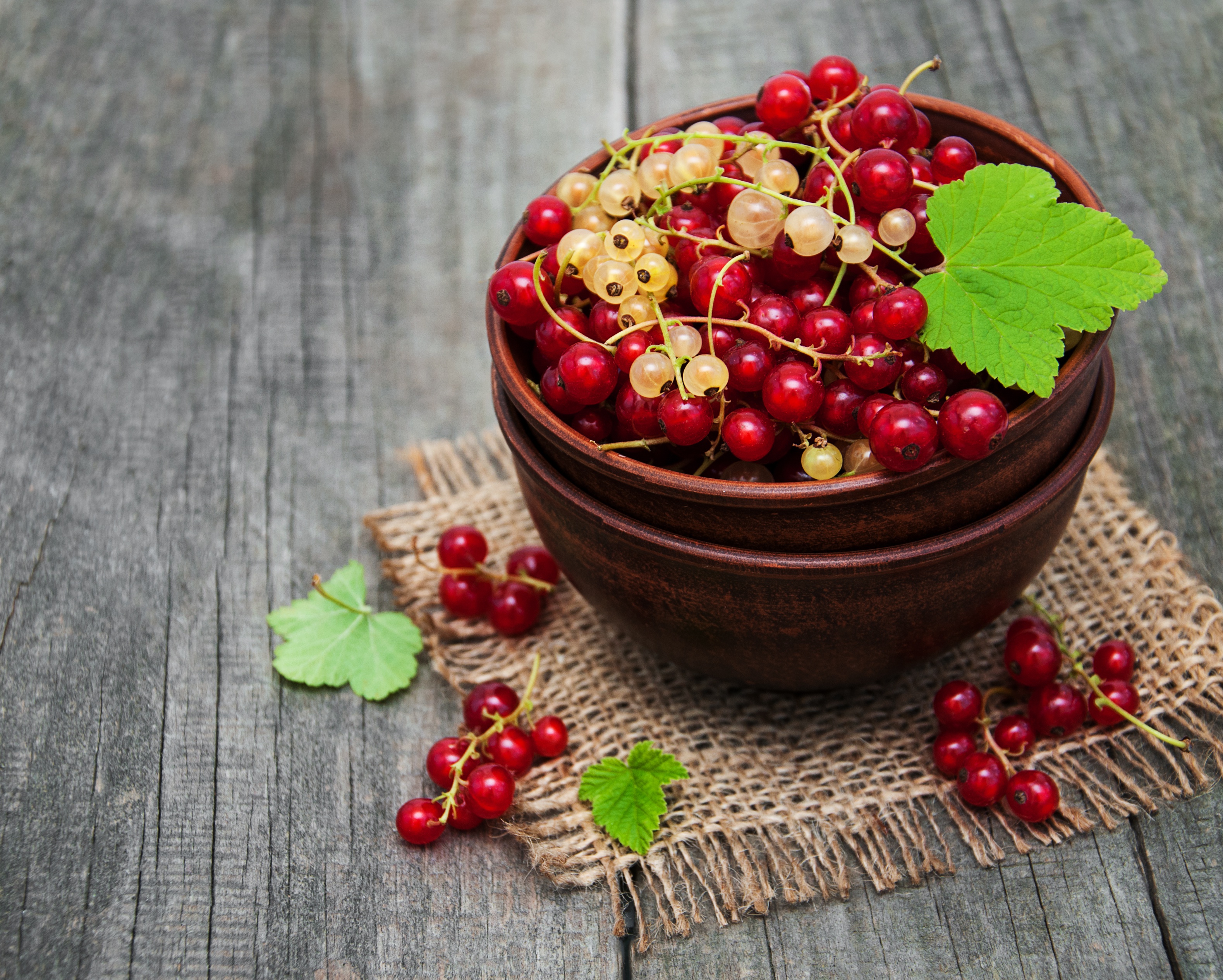Download Food Currants HD Wallpaper