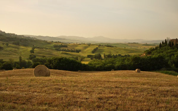 [20+] Haystack 4k Wallpapers