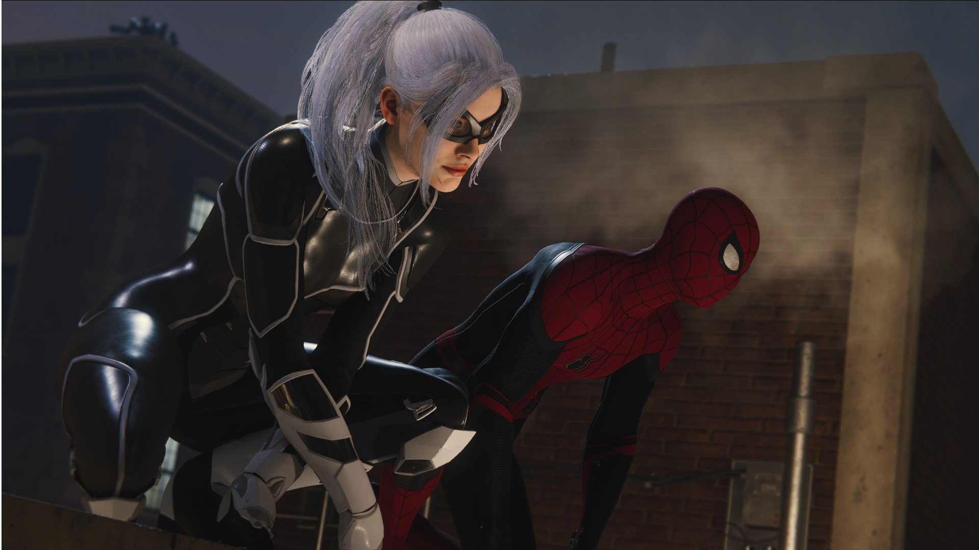 Spider man And Black cat By Wastr
