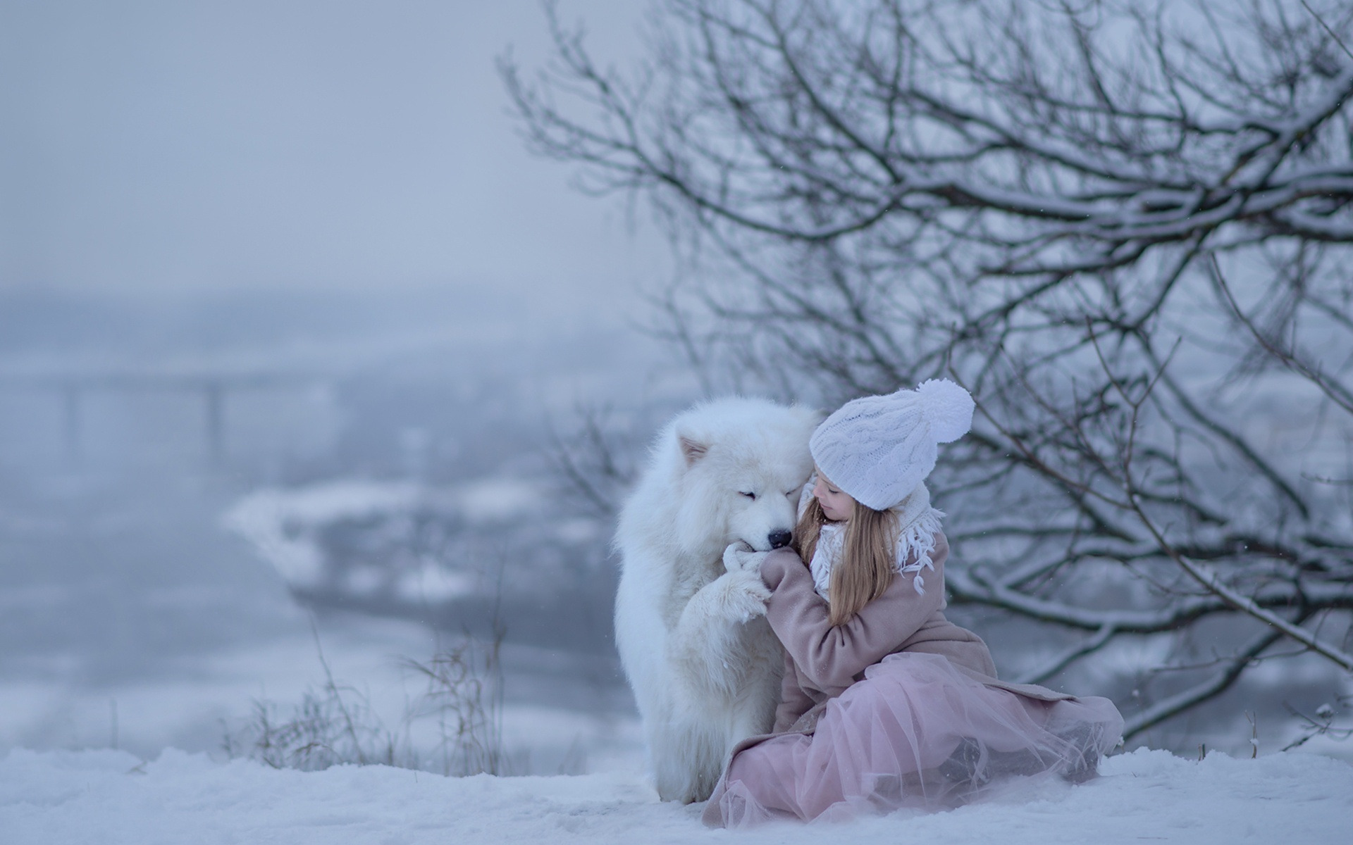 Winter Bonds: A Girl and Her Samoyed in Snowy Harmony – HD Wallpaper