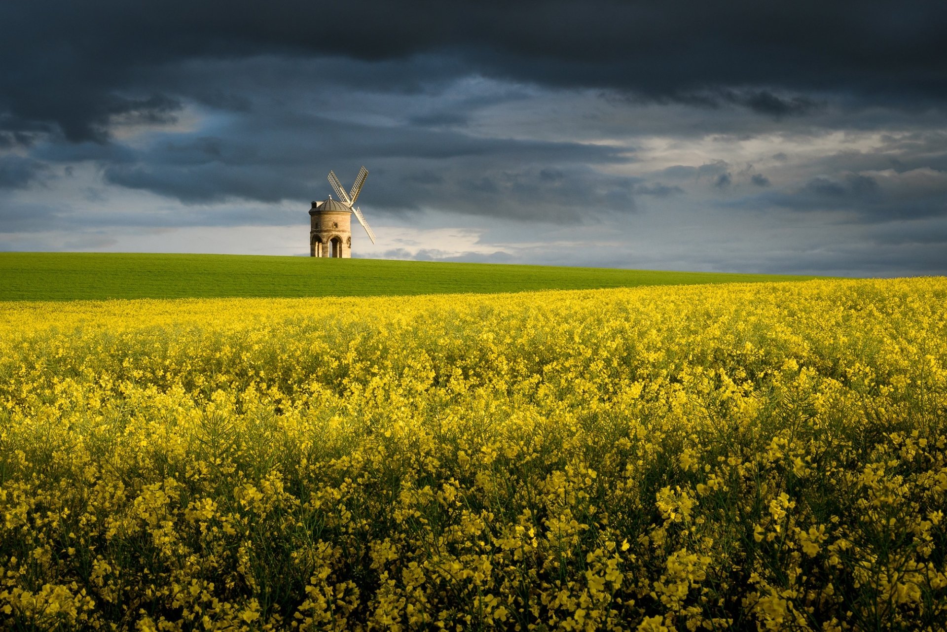 Download Cloud Summer Yellow Flower Rapeseed Flower Field Man Made ...
