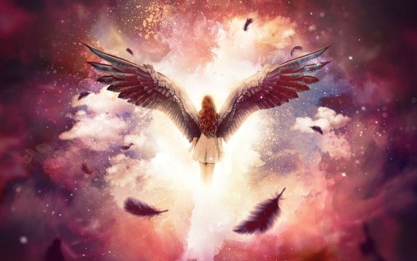 Female fallen angel Wallpaper and Background Image | 1373x1001