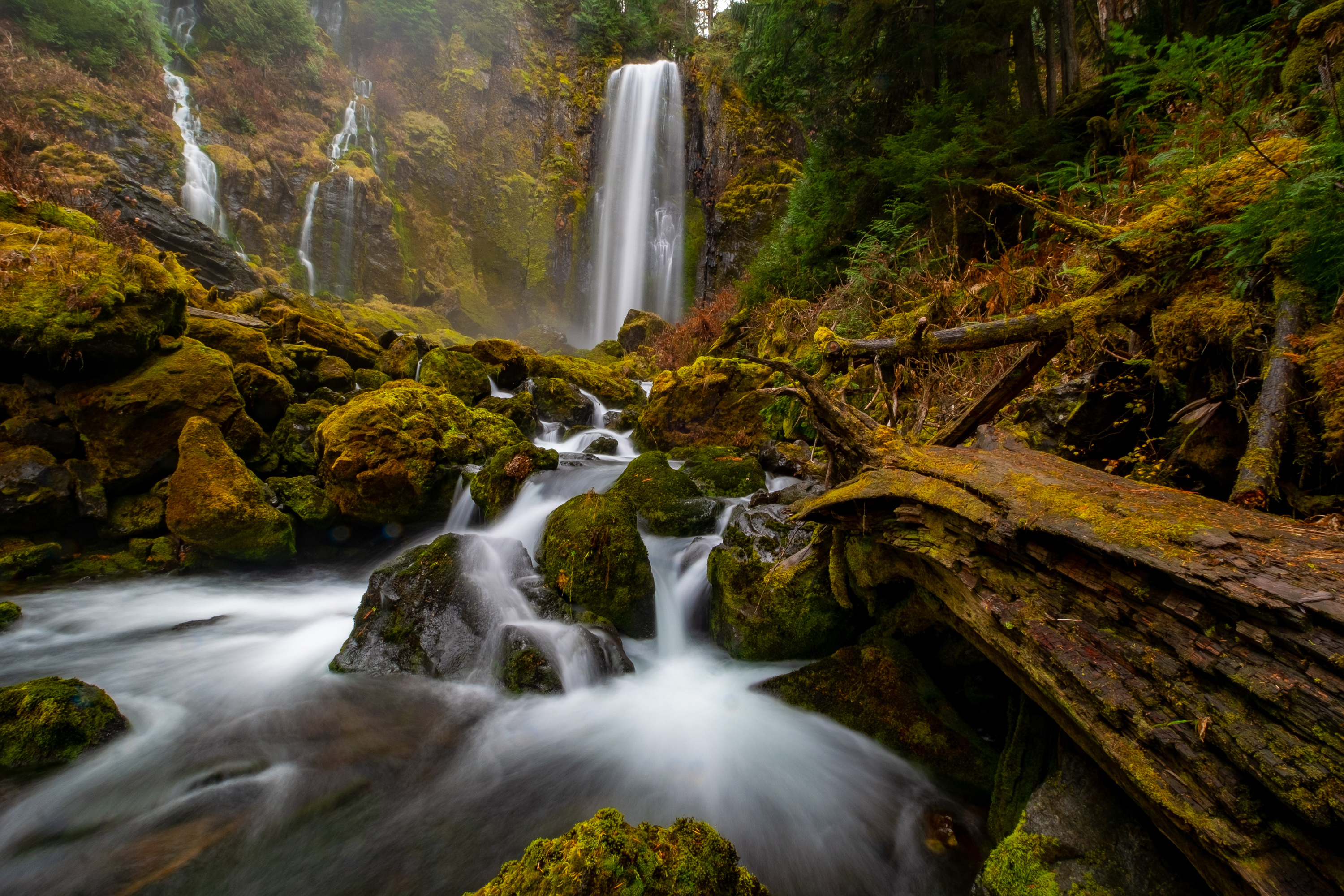 Download Stream Forest Nature Waterfall HD Wallpaper