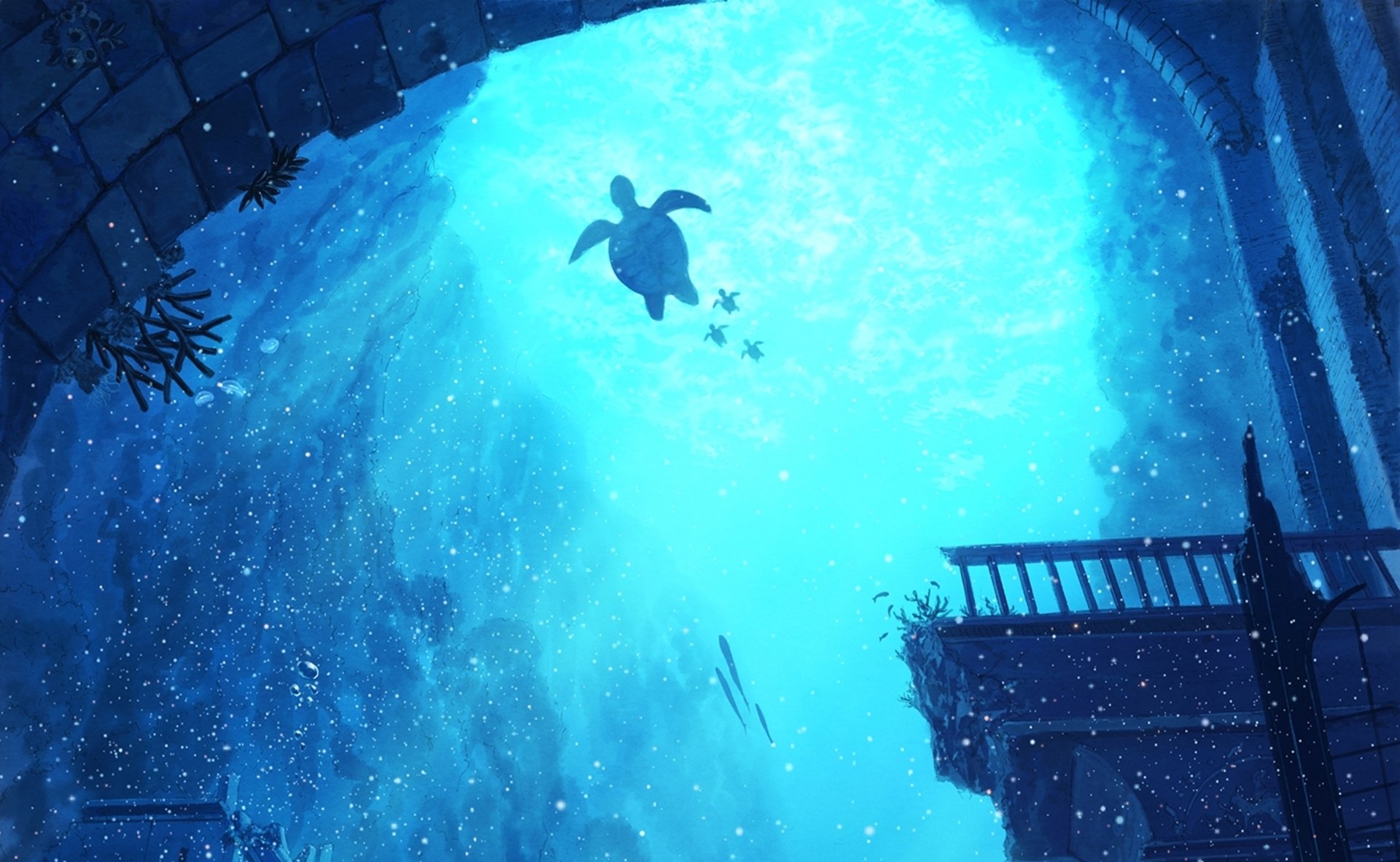 Download Turtle Anime Underwater HD Wallpaper by ぺい