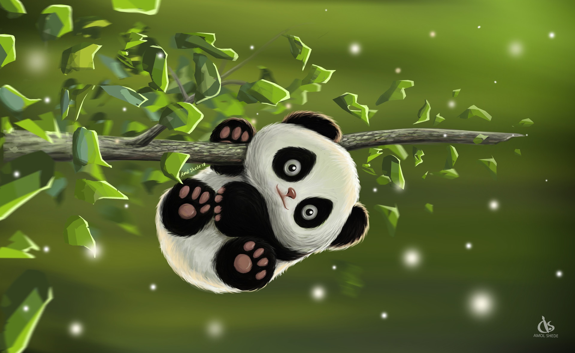 Download Cute Animal Panda HD Wallpaper By Amol Shede Download Cute Animal Panda HD Wallpaper By Amol Shede