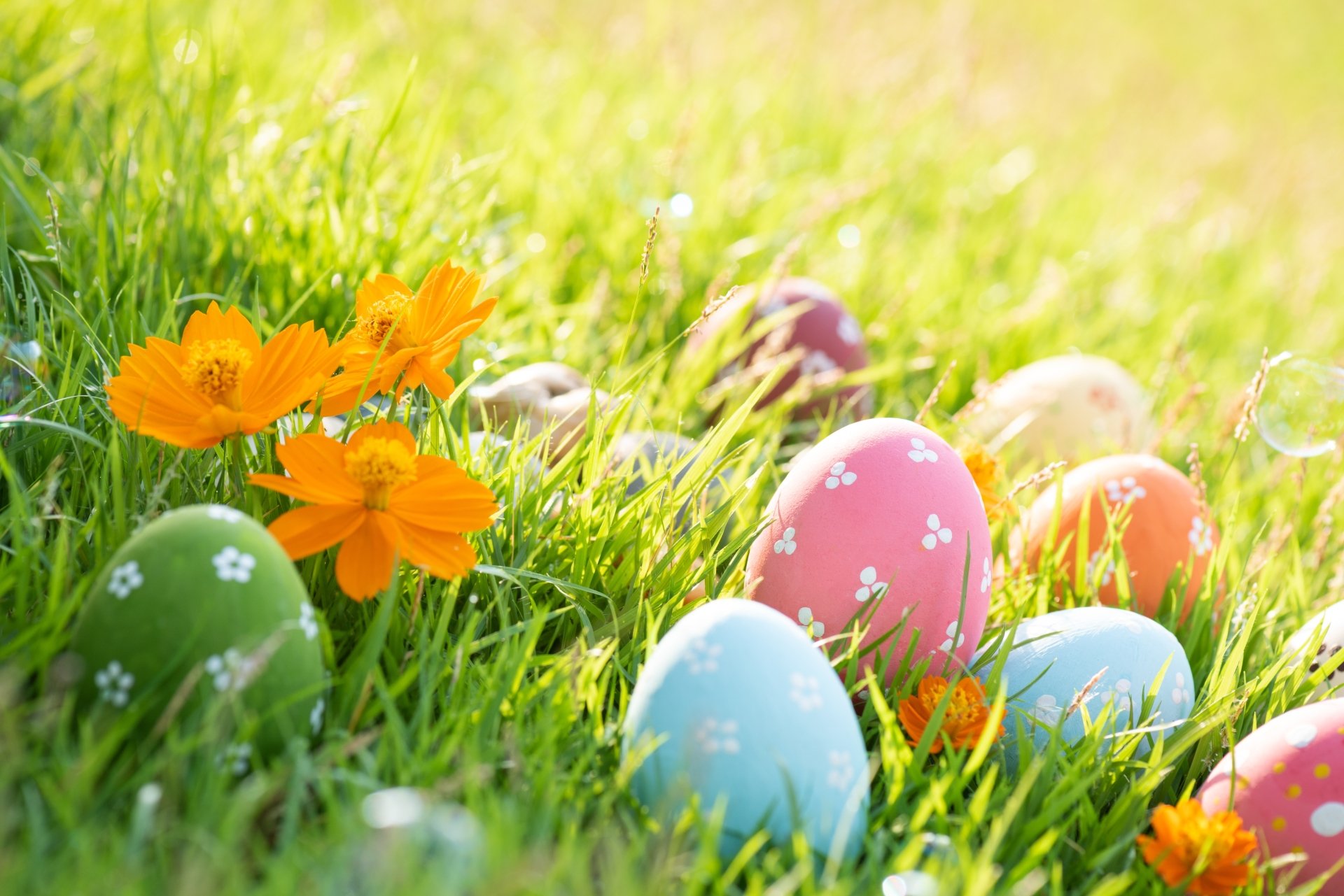 Download Easter Egg Spring Flower Grass Holiday Easter 4k Ultra HD ...