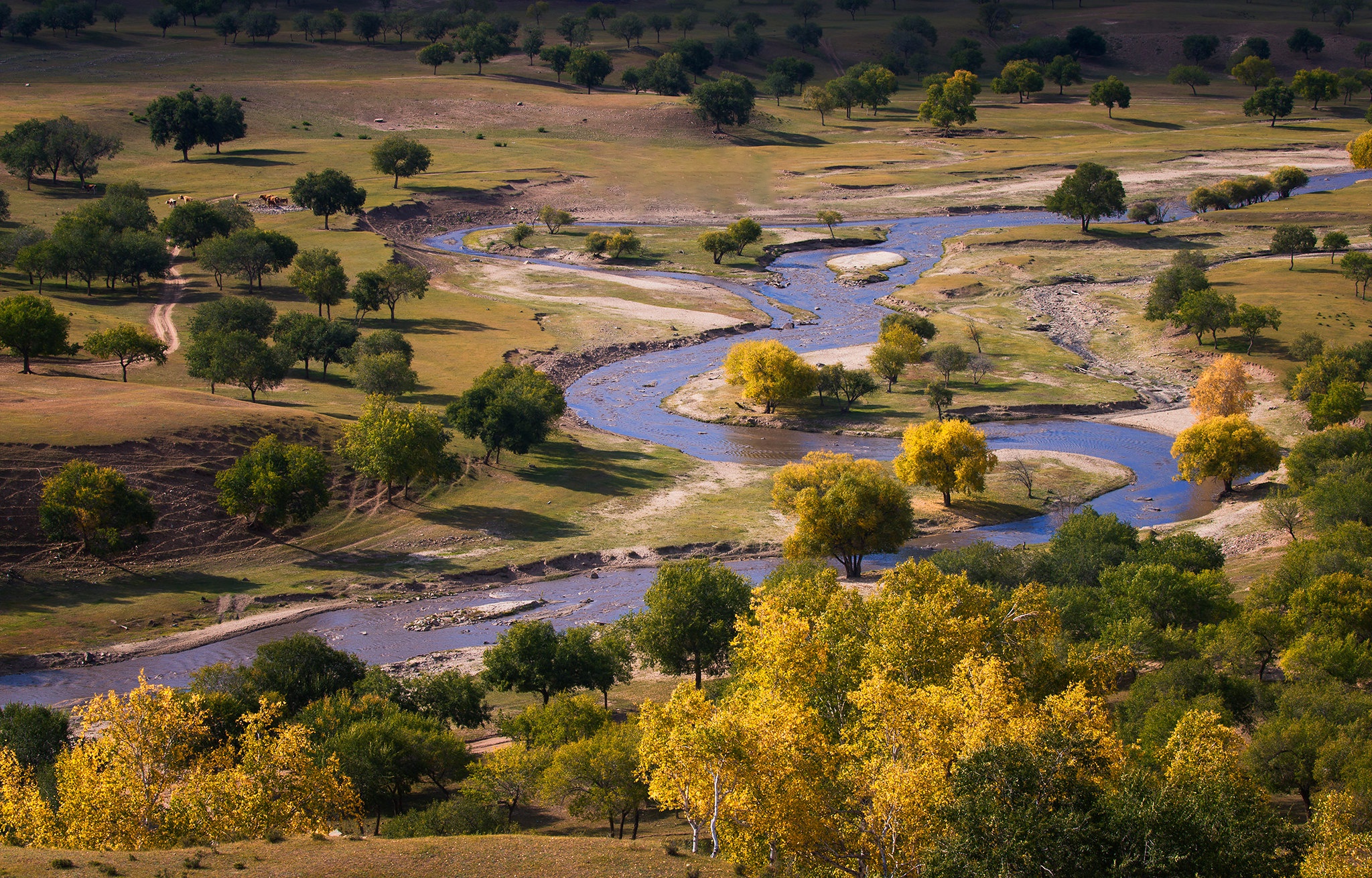 Download Landscape Tree Fall Nature River HD Wallpaper