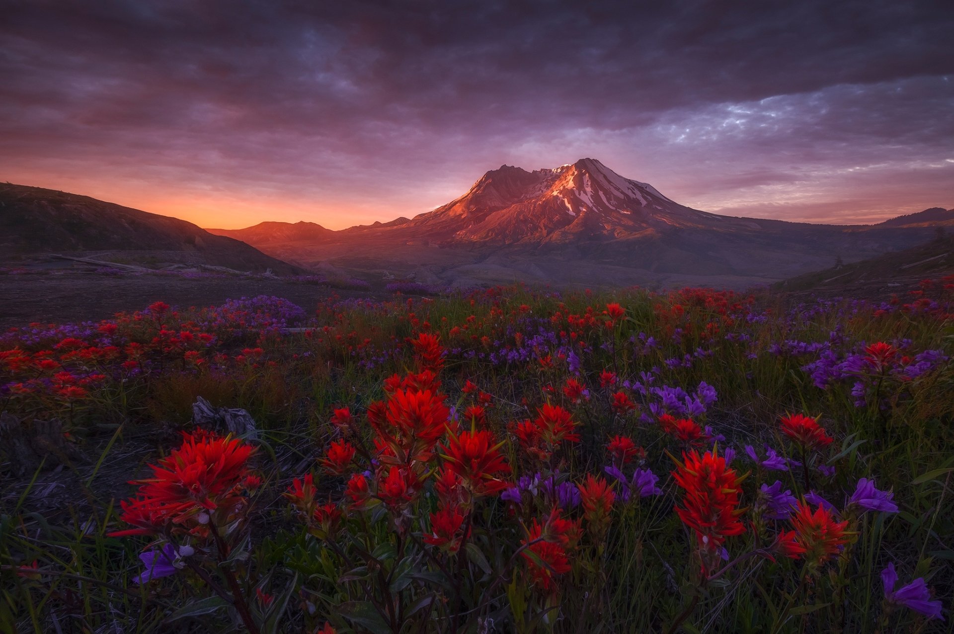 Dawn's Wildflower Meadow — Mountain HD Wallpaper | 2048x1361 ...