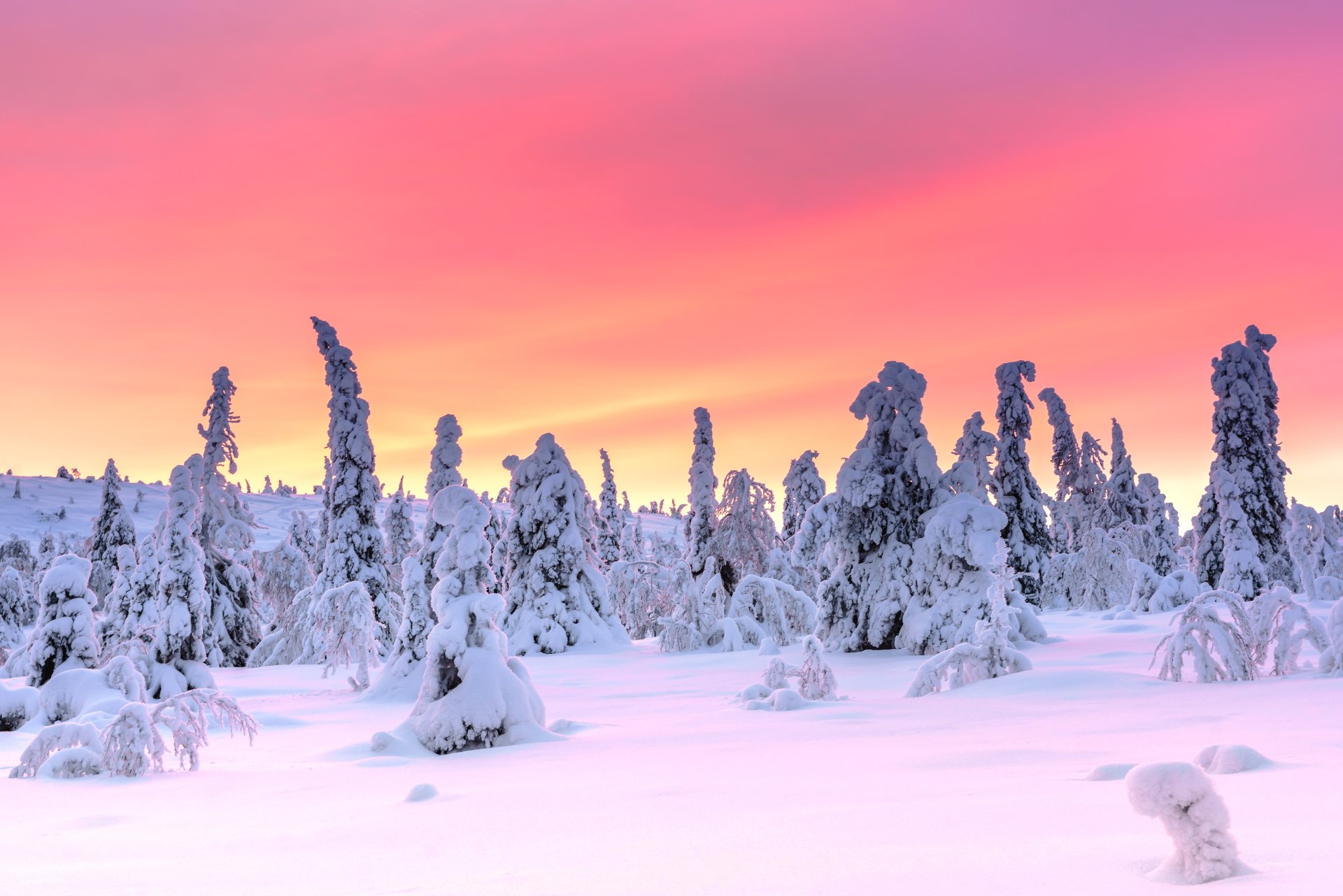 Download Sunset Snow Nature Winter Winter Sunset 4k Ultra HD Wallpaper
