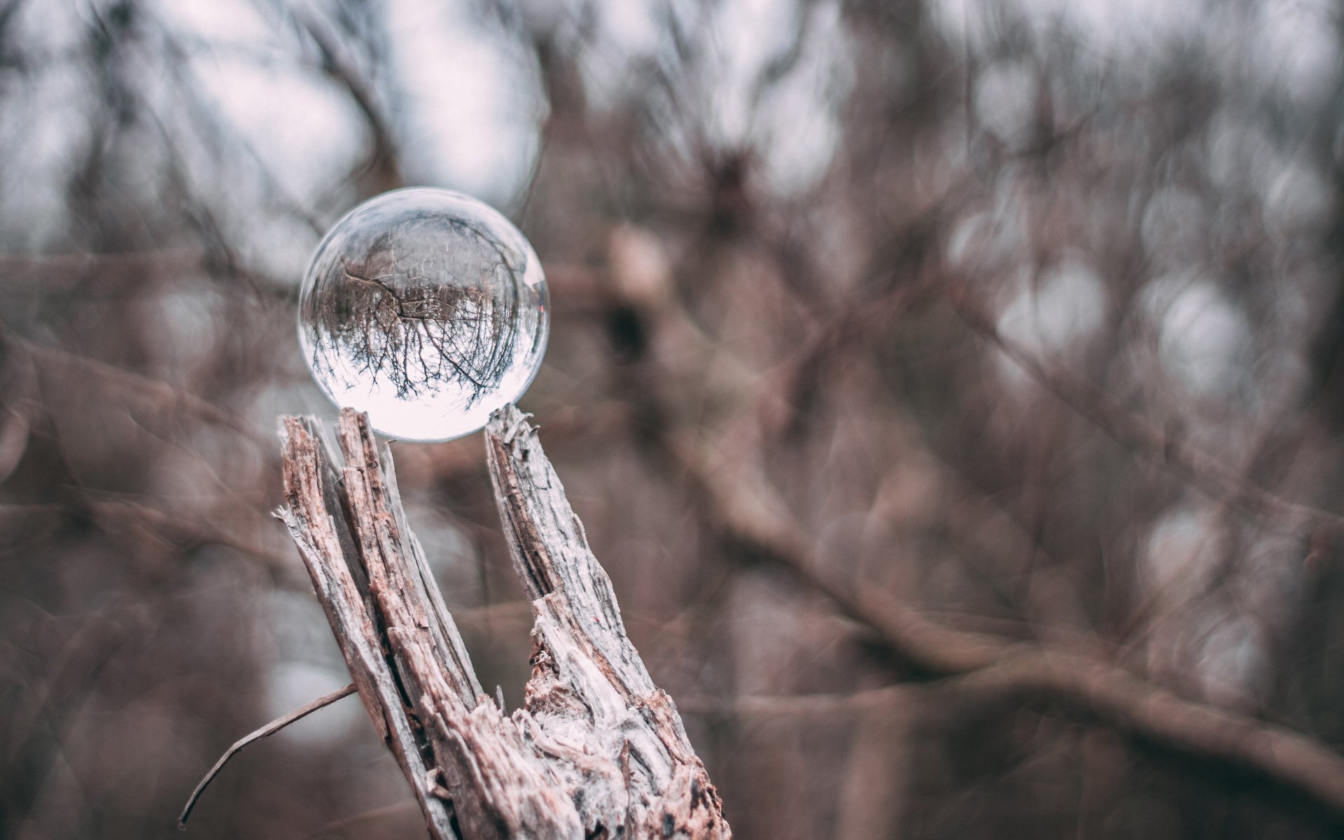 Download Glass Ball Photography Ball 4k Ultra HD Wallpaper