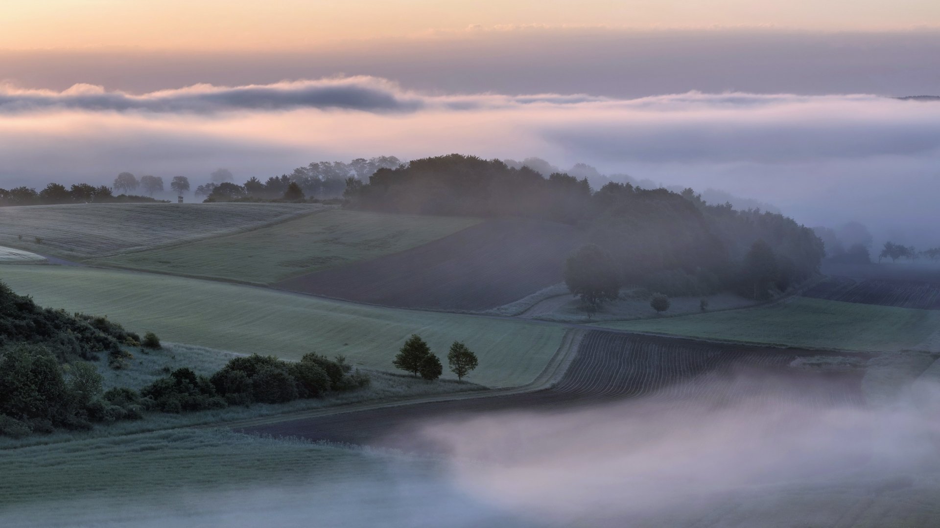 Download Nature Fog 4k Ultra HD Wallpaper