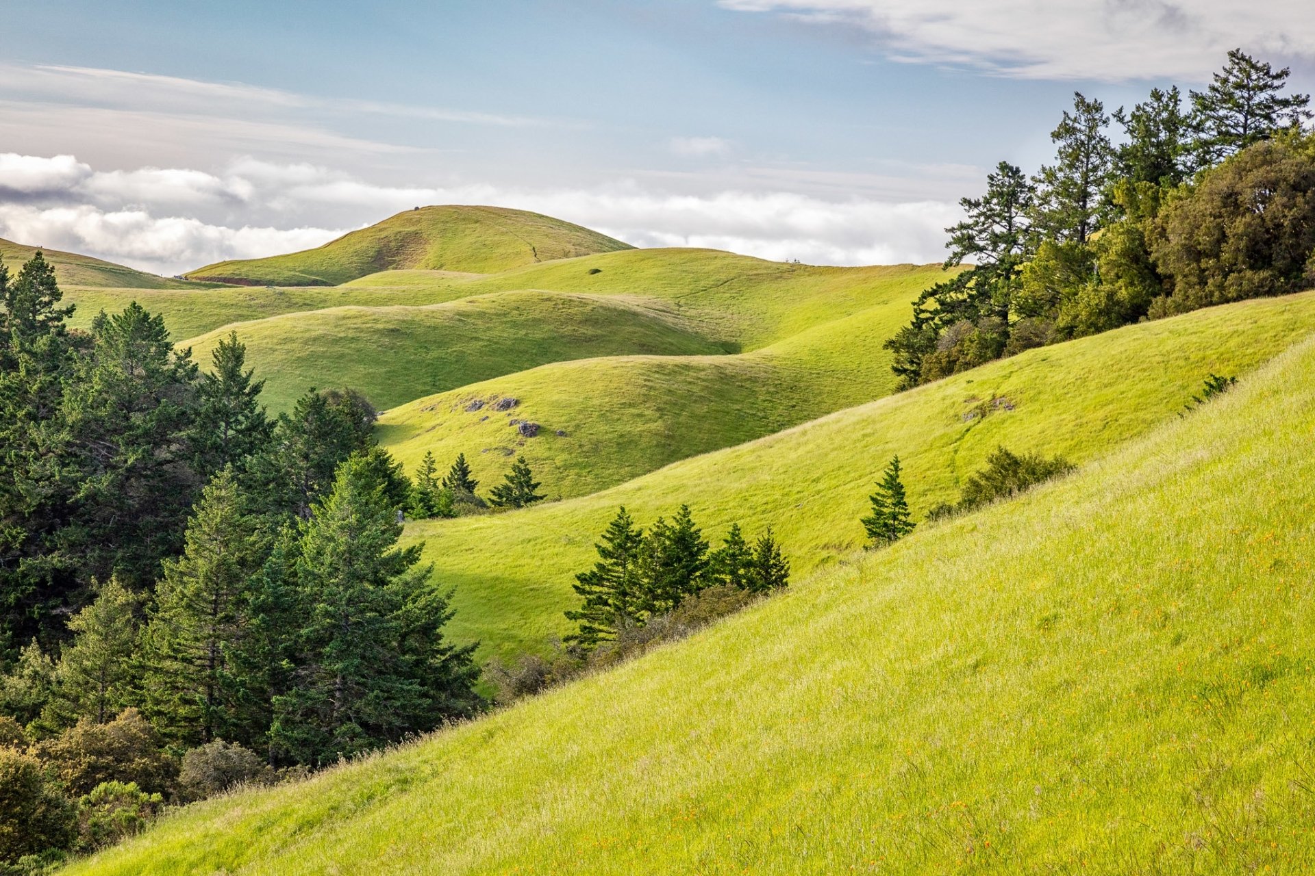 Mount Tamalpais State Park