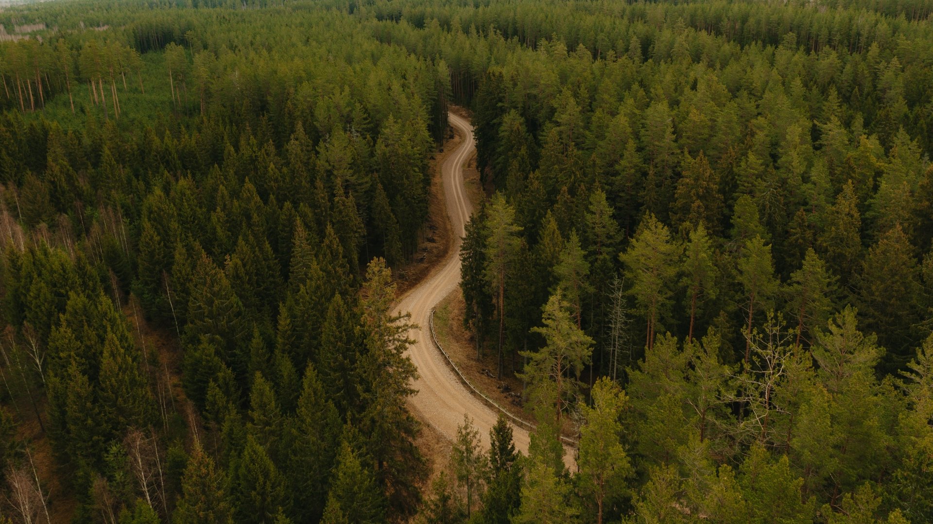 Aerial View of Serene Forest Road - 4K Ultra HD Landscape Wallpaper ...