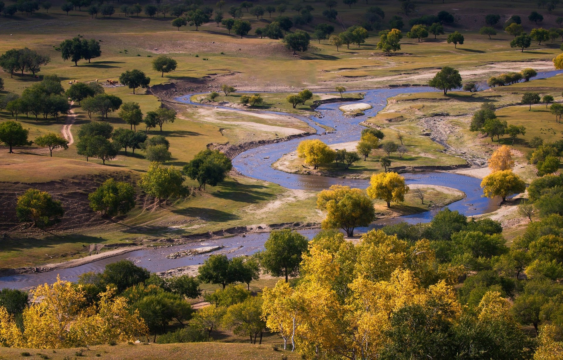 Download Landscape Tree Fall Nature River HD Wallpaper | 2048x1310 ...
