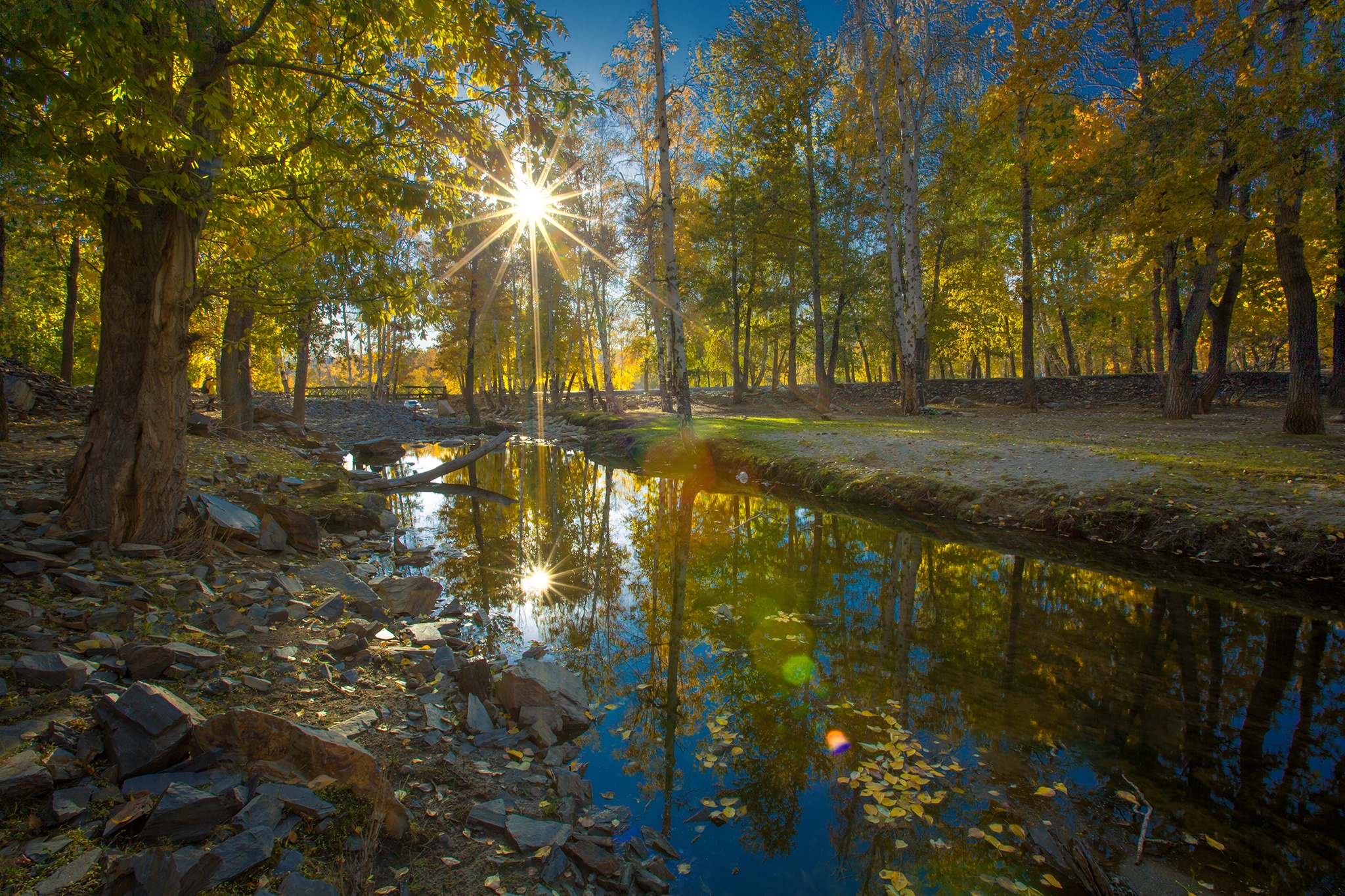 Download Stream Tree Fall Nature Sunbeam HD Wallpaper