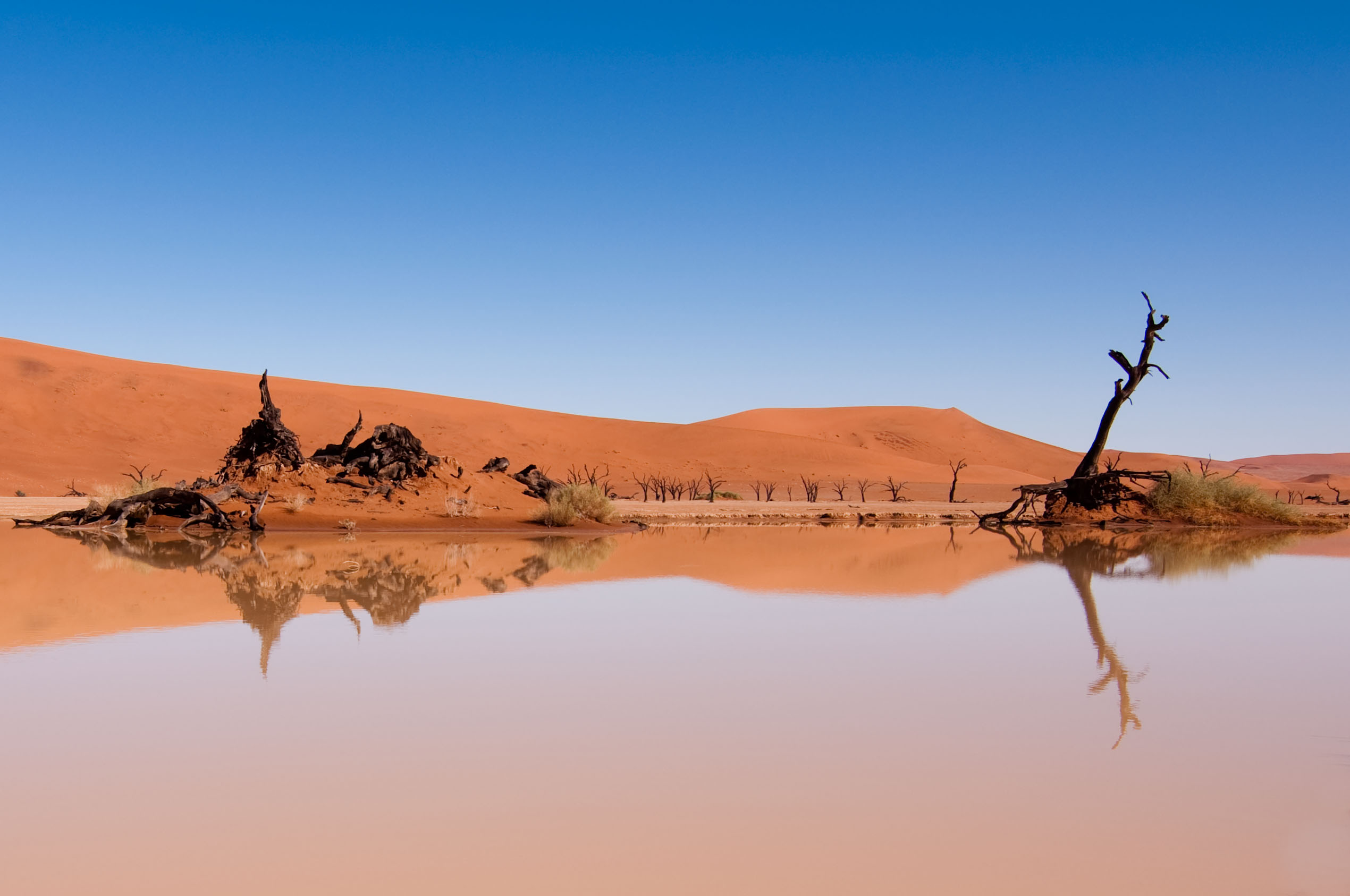 Oasis Landscape Wallpaper Wall Mural Wallpaper Peaceful Oasis