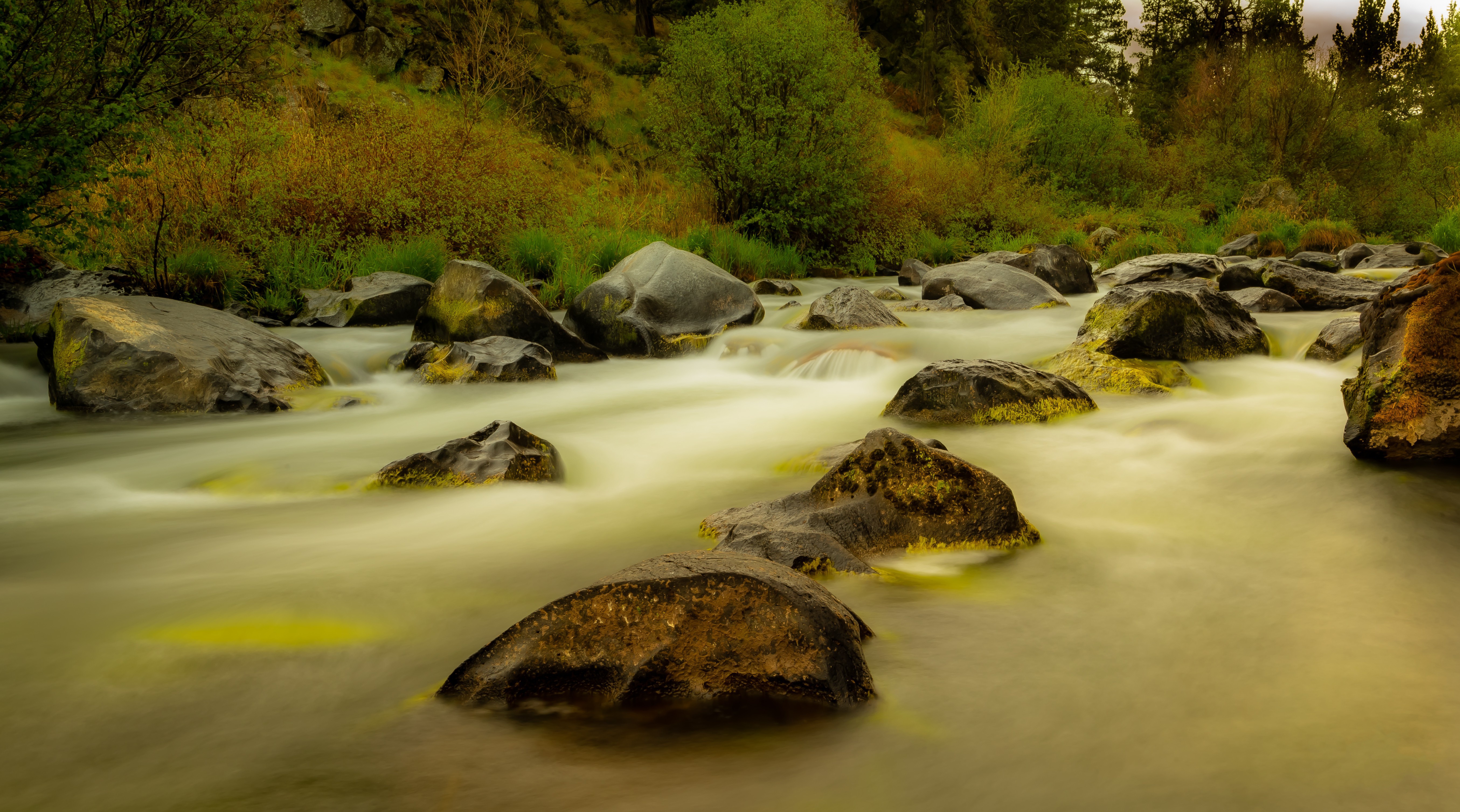 Download Bush Stream Stone Nature River 4k Ultra HD Wallpaper
