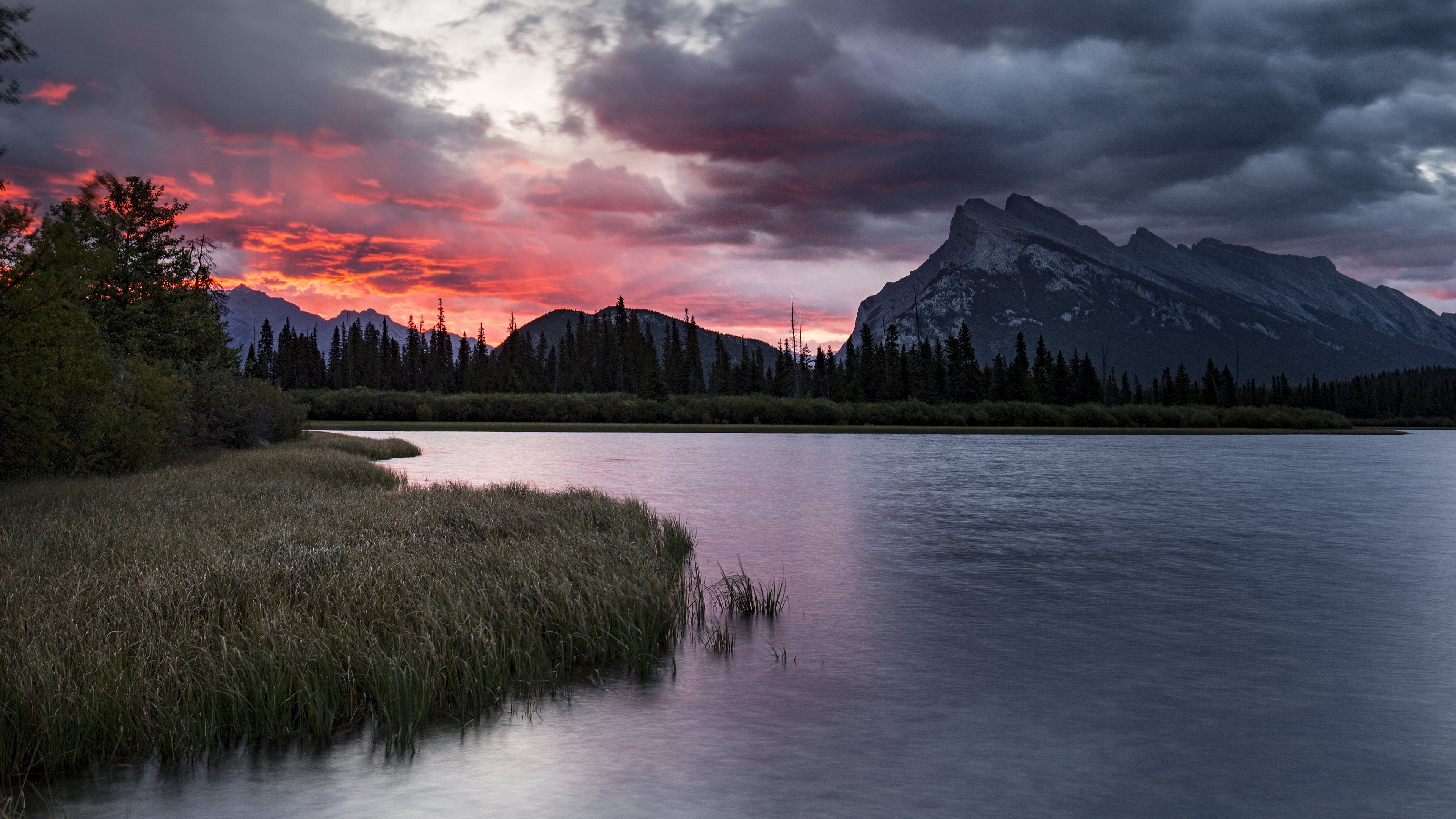 Download Alberta Canada Spruce Mountain Sunset Cloud Sky Forest Nature ...