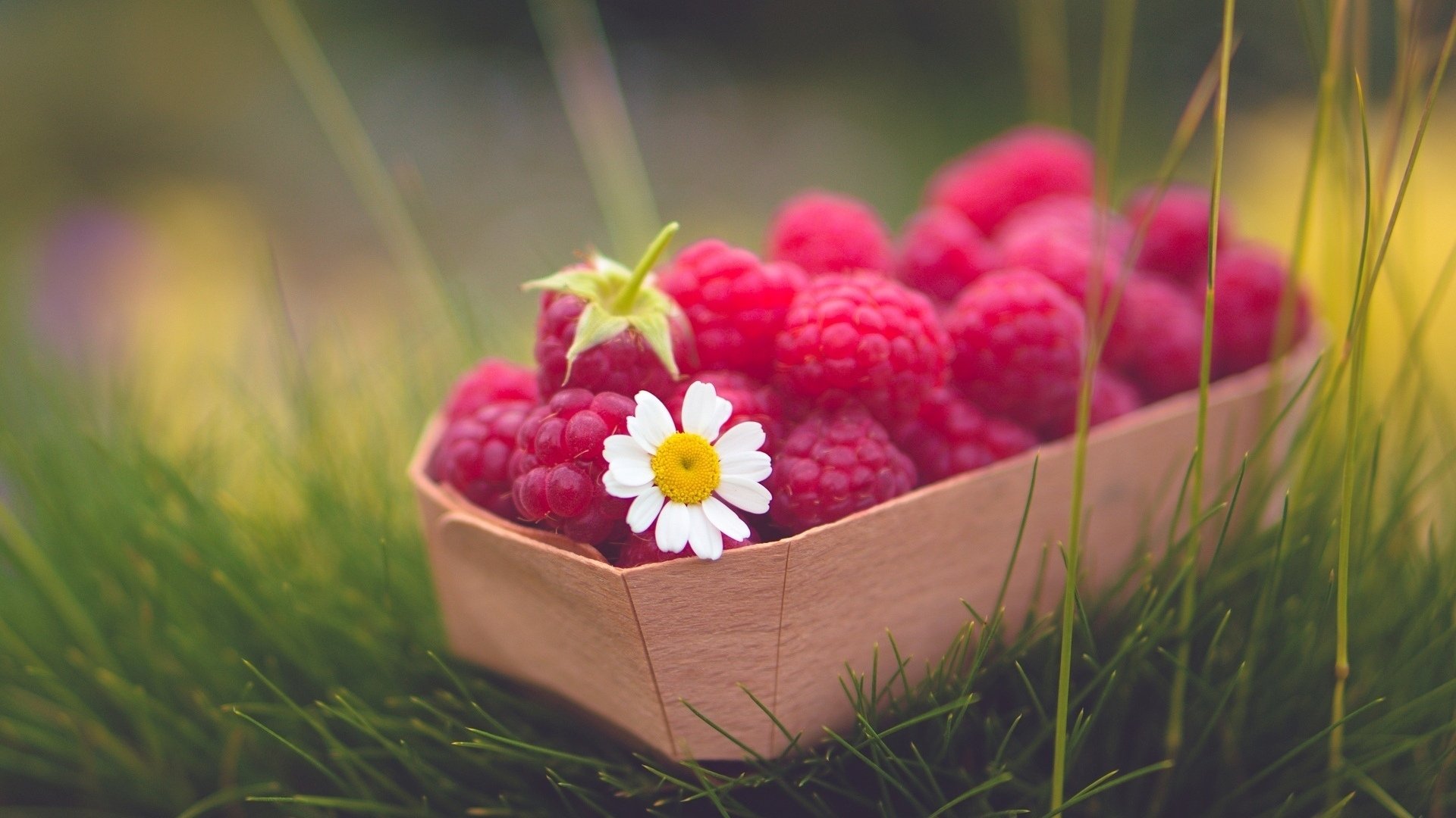 Food Raspberry HD Wallpaper