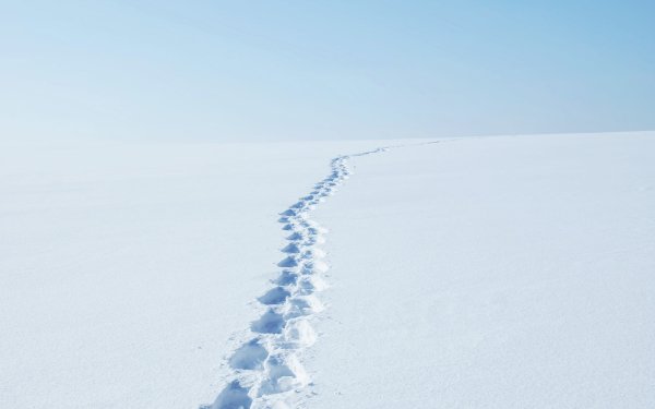 [10+] Tracks Wallpapers