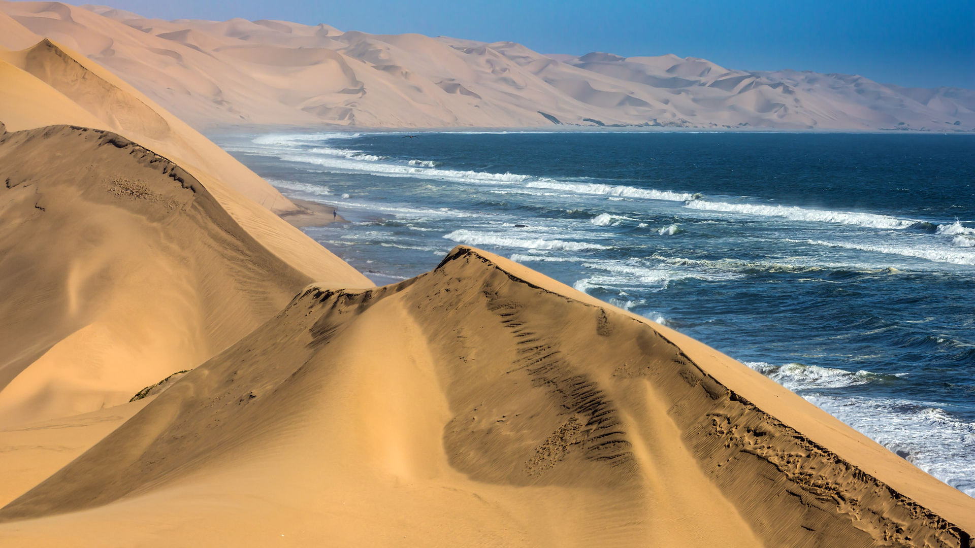 Fondo De Pantalla Gratuito De Namibia Dunes