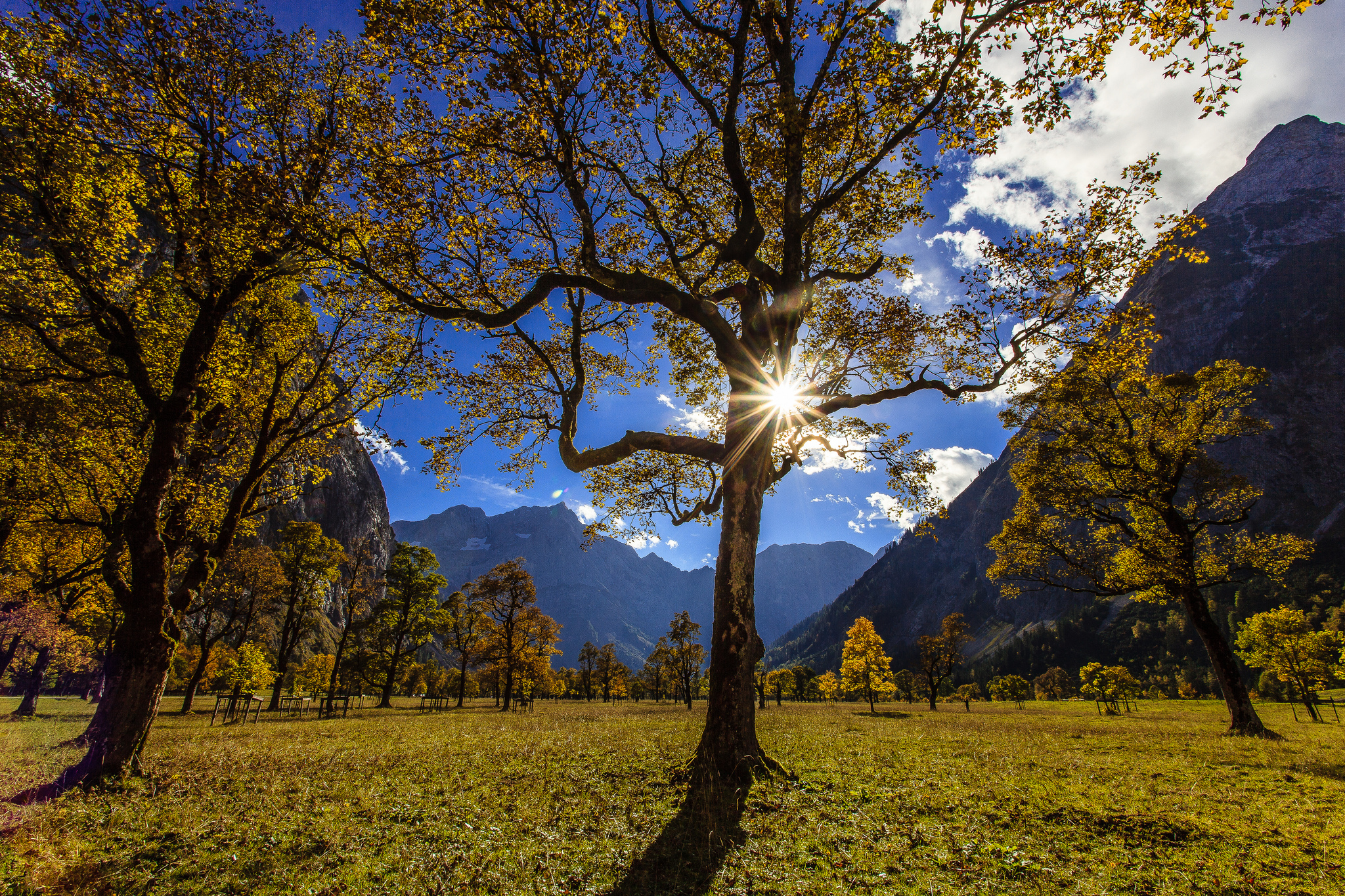 Download Mountain Cloud Valley Austria Tree Nature Sunbeam HD Wallpaper