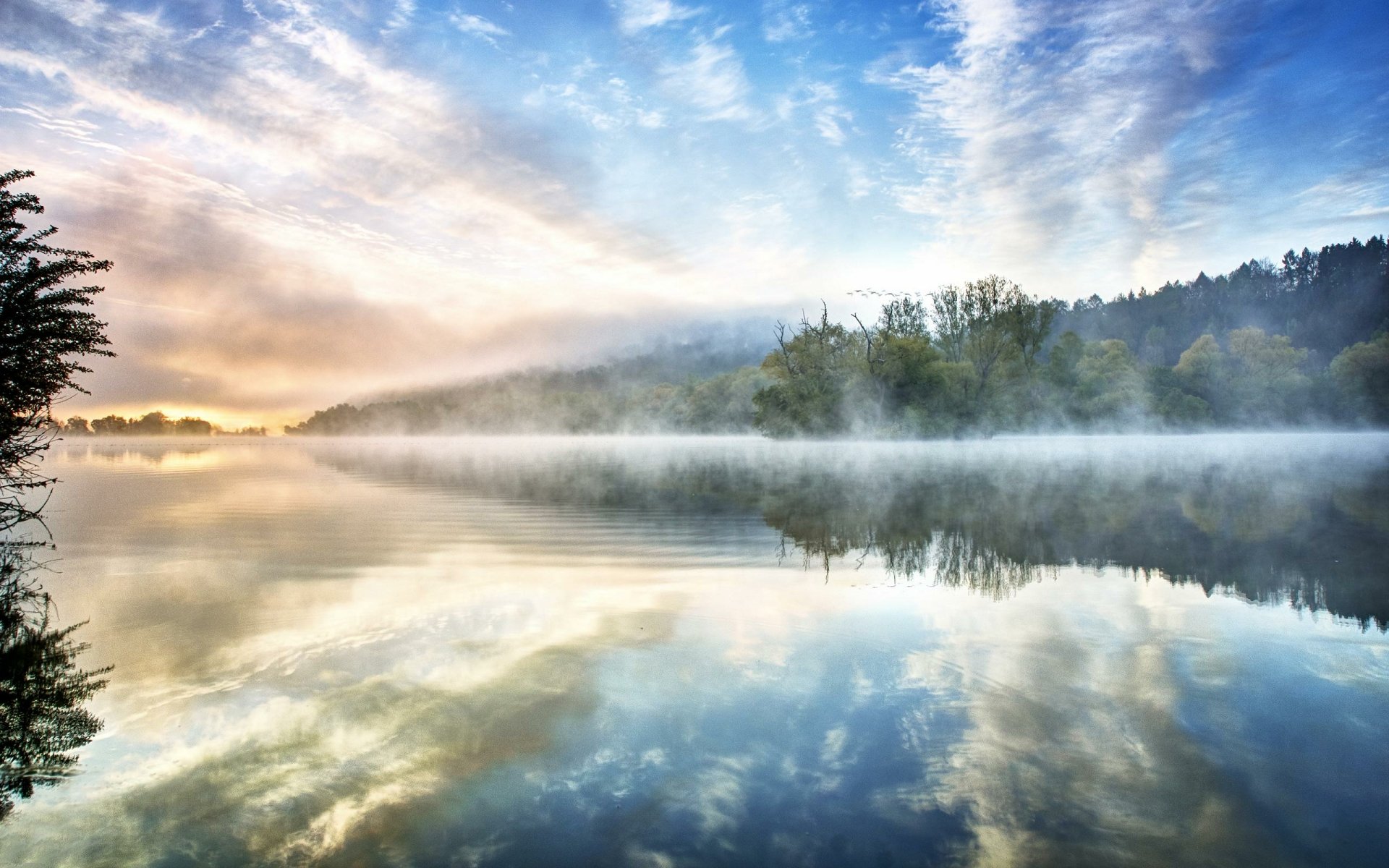 Misty River Dawn — 2K Quad HD Forest Landscape Wallpaper | 2560x1600 ...