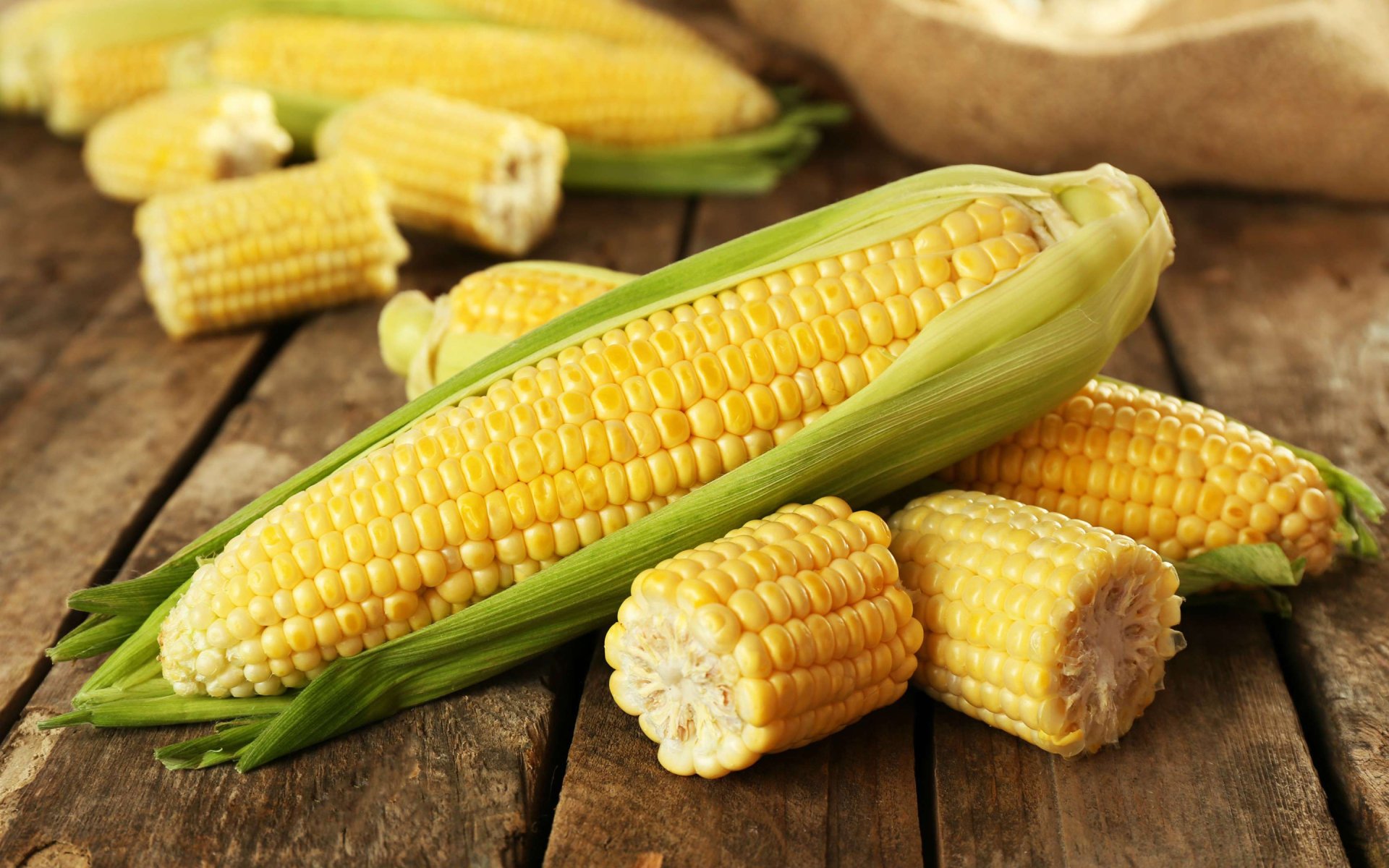 Download Food Corn HD Wallpaper