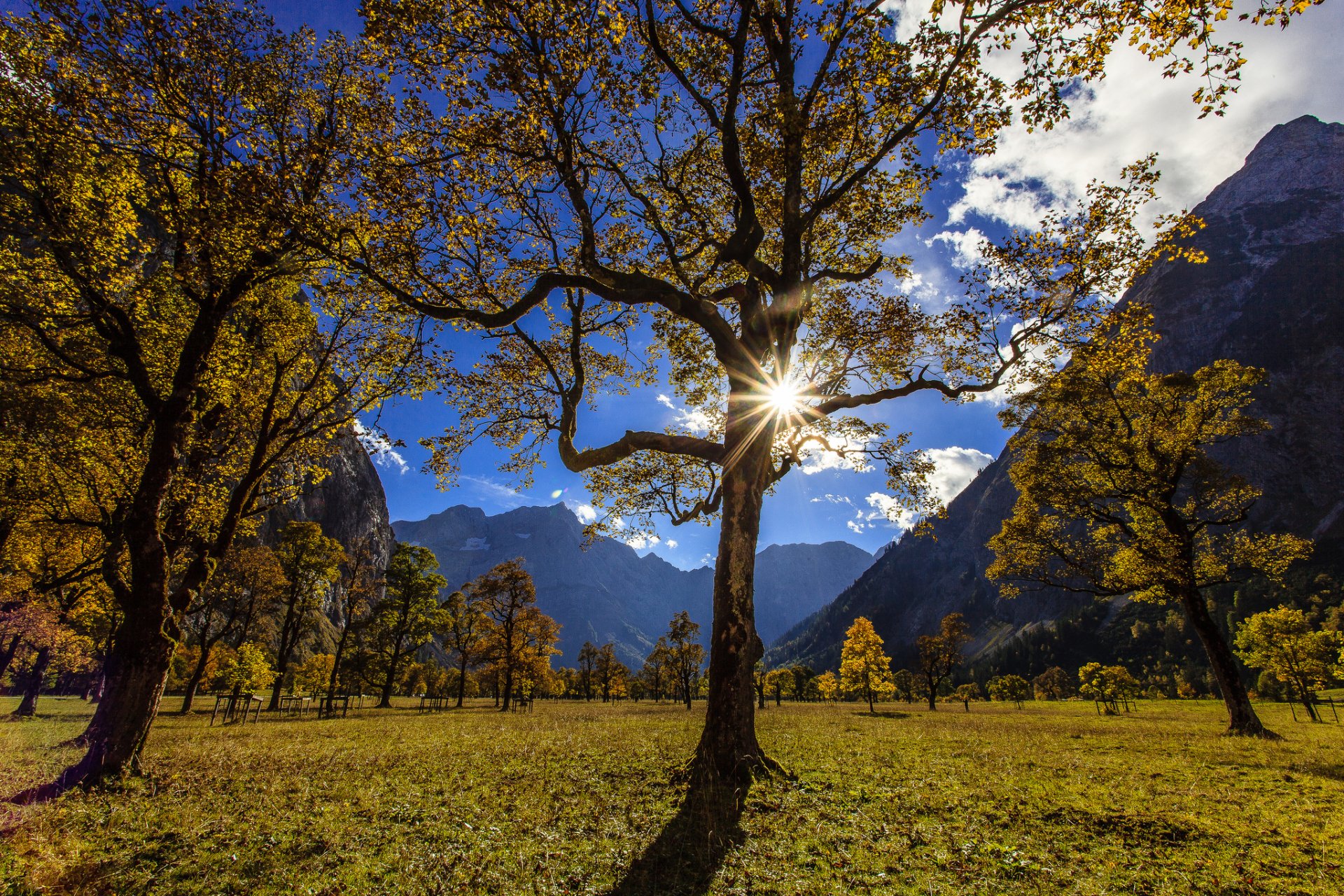 Download Mountain Cloud Valley Austria Tree Nature Sunbeam HD Wallpaper