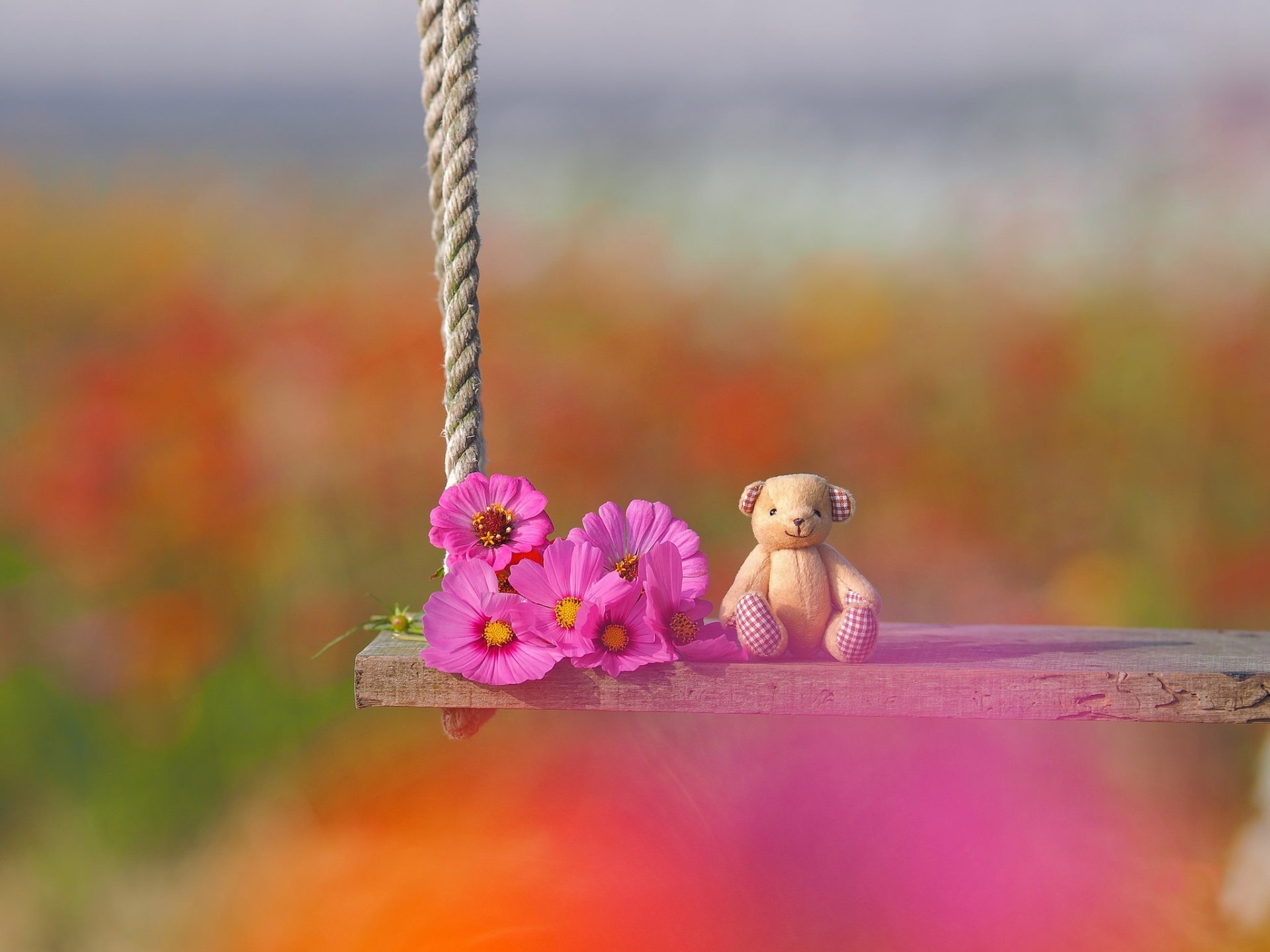 Download Teddy Bear Toy Swing Flower Man Made Stuffed Animal HD Wallpaper