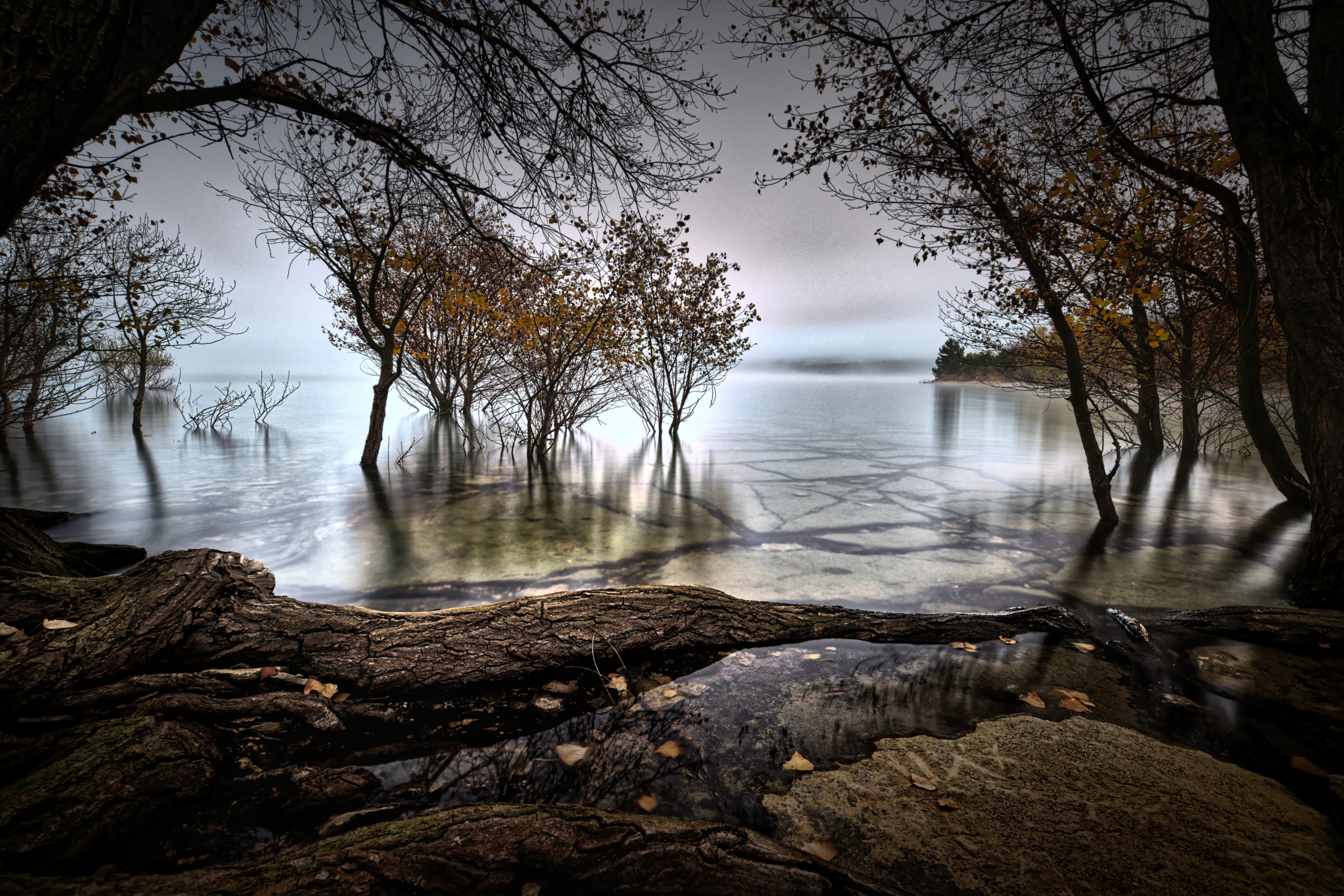 Download Fog Nature Tree Water Fall Lake 4k Ultra HD Wallpaper