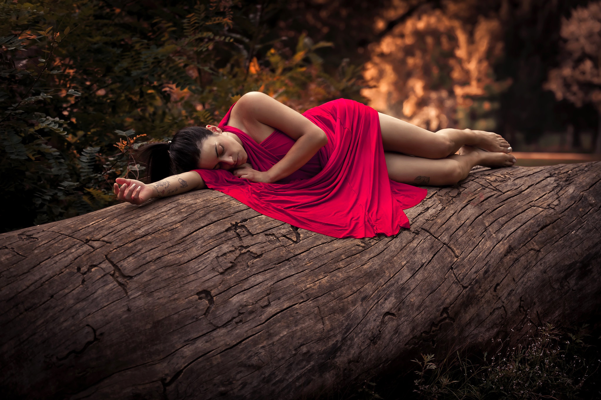 Download Log Red Dress Brunette Model Woman Mood HD Wallpaper