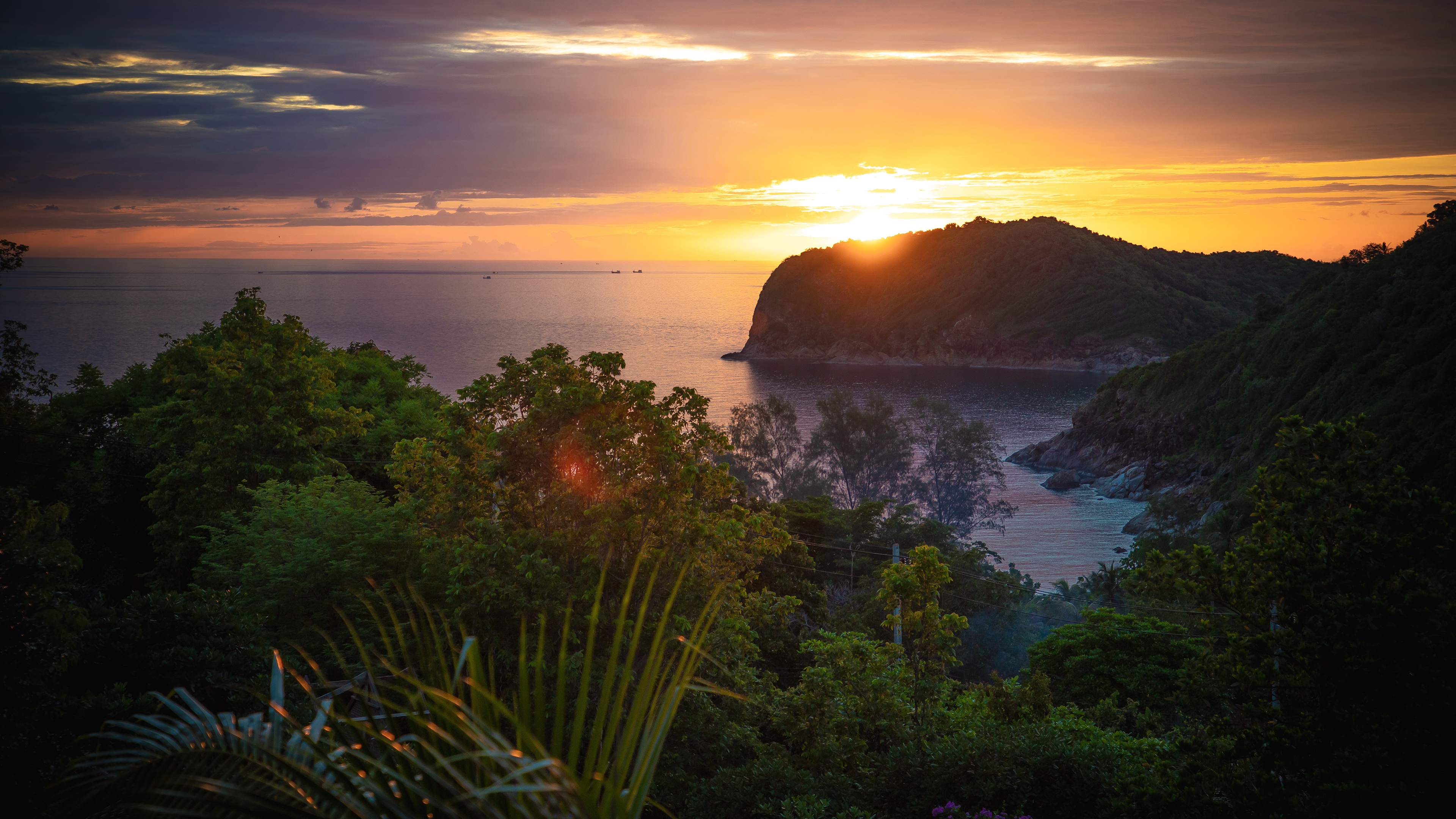 Download Evening Vegetation Shore Sunset Sun Sea Nature Coastline 4k ...