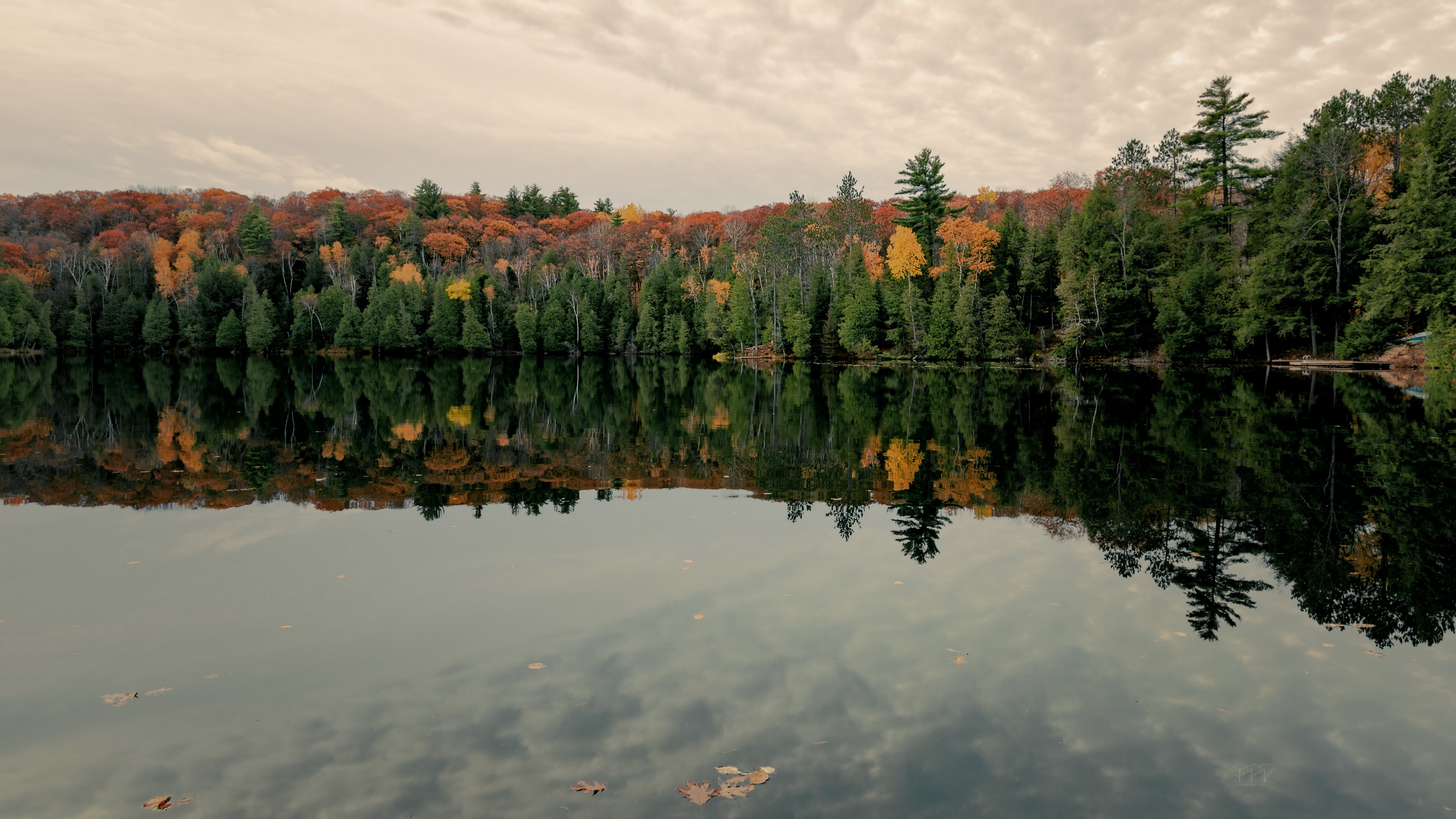 Download Reflection Forest Fall Nature Lake 4k Ultra HD Wallpaper