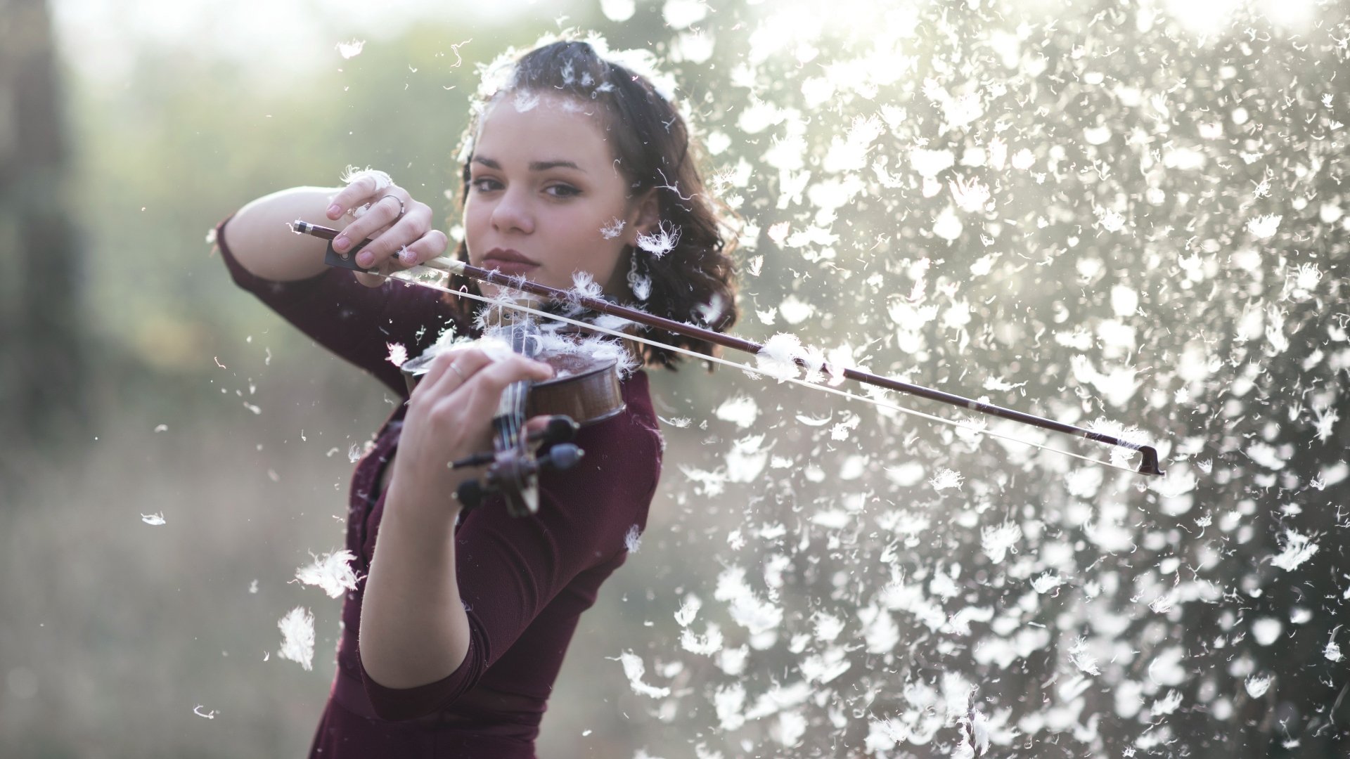 Download Violin Violinist Music Musician 4k Ultra HD Wallpaper