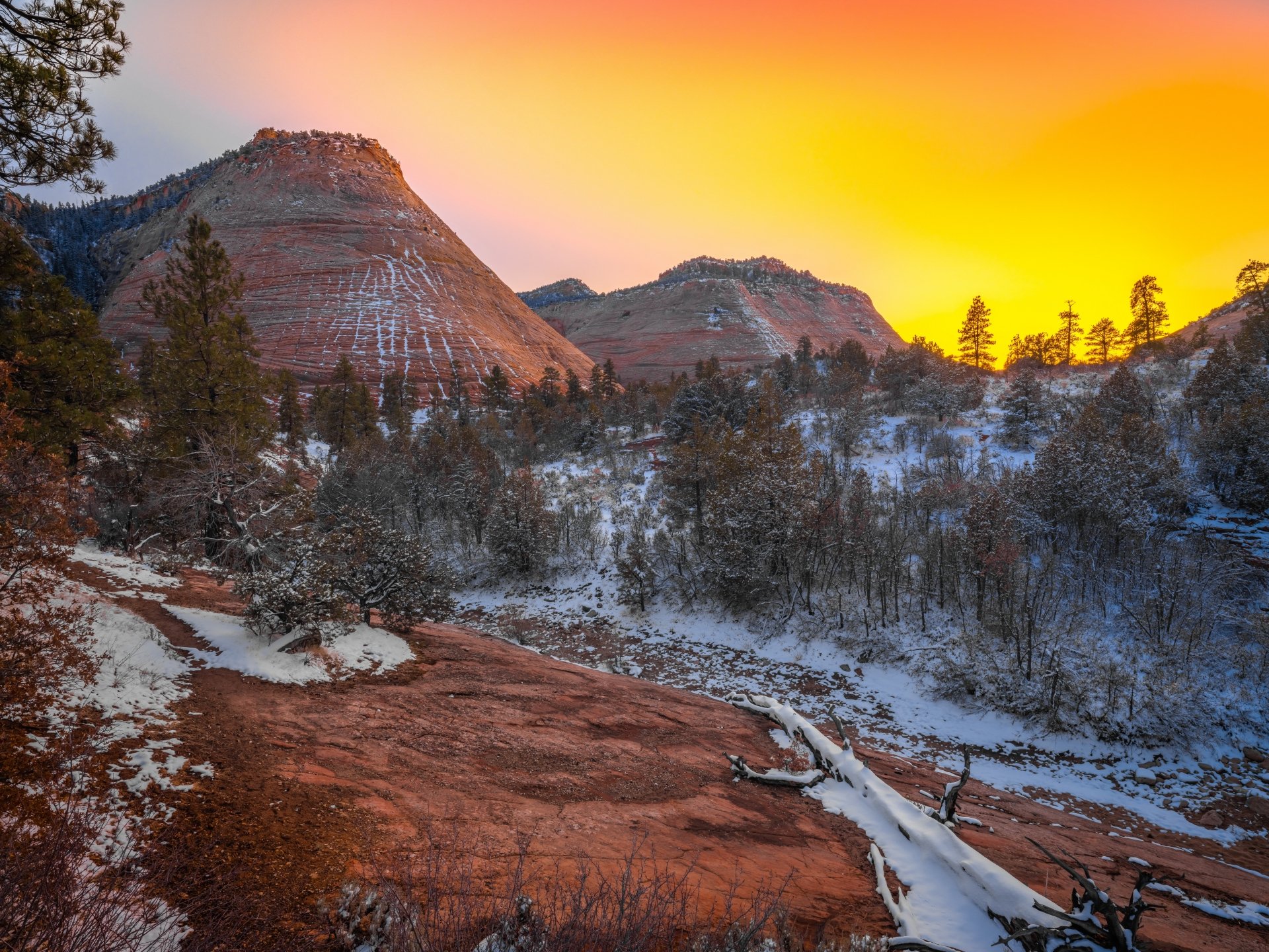 Download Mountain Snow Nature Zion National Park Snowy Mountain 8k ...