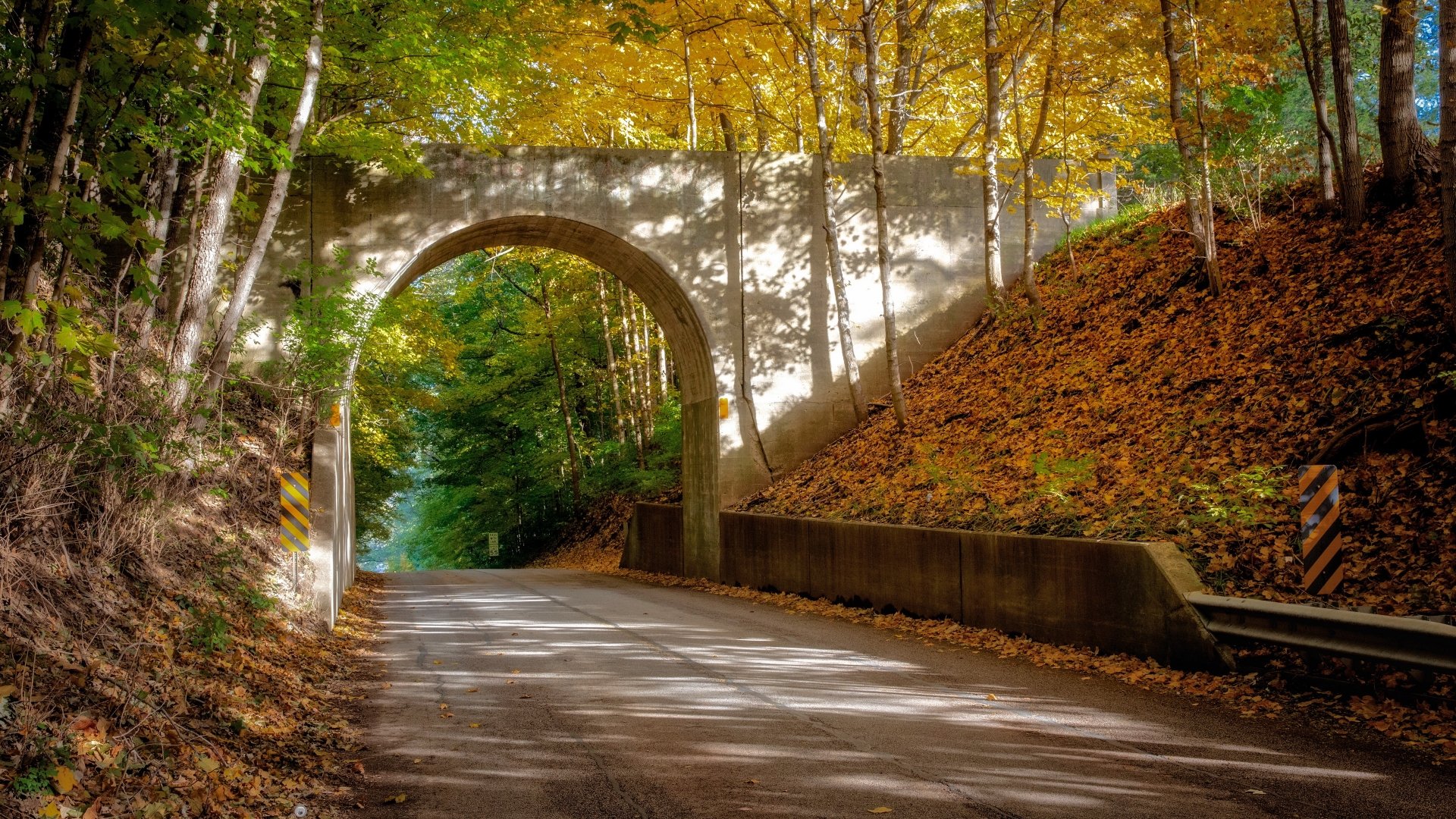 4K Ultra HD Autumn Archway Road: Nature Meets Man-Made Elegance ...