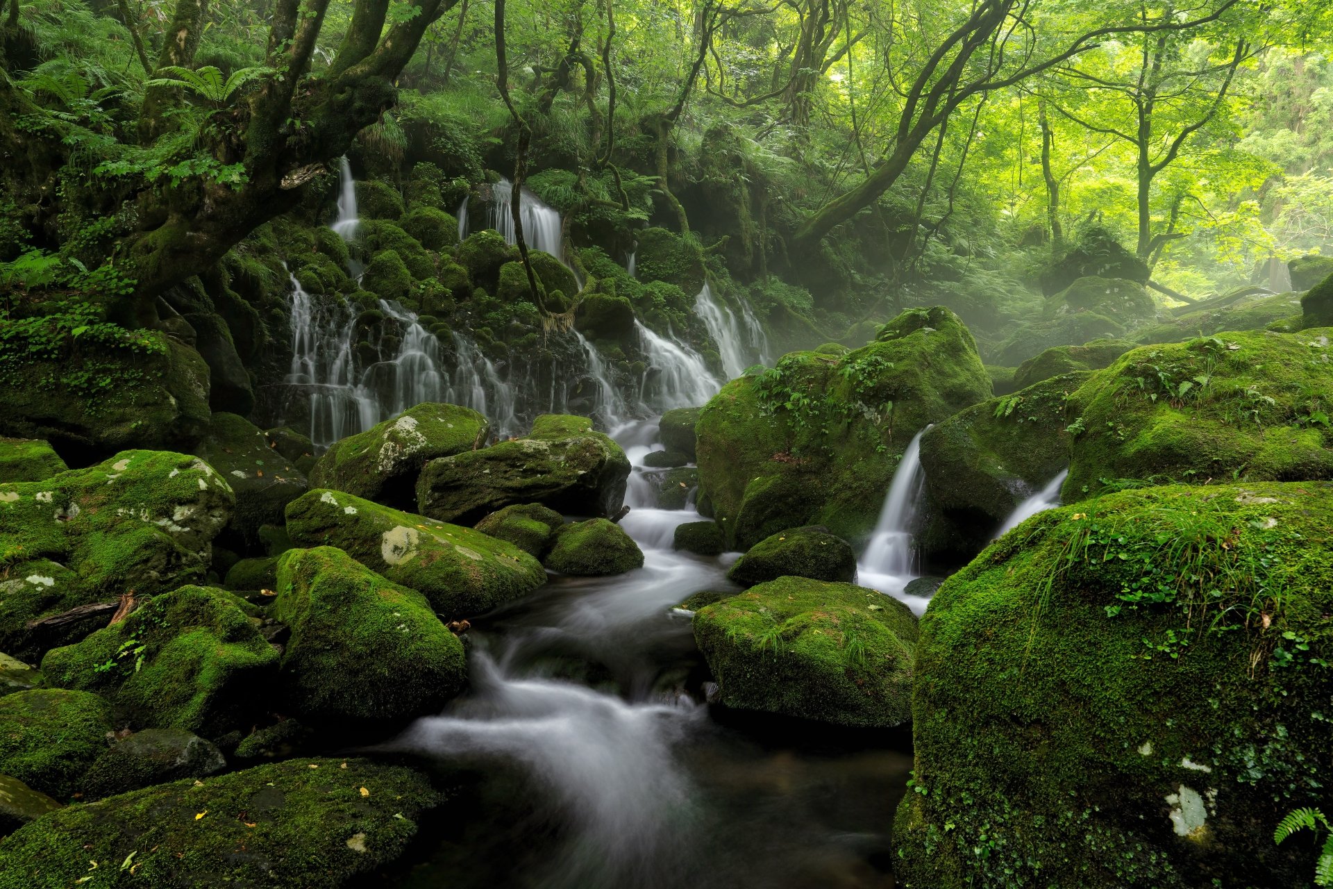 Download Greenery Nature Stream 4k Ultra HD Wallpaper