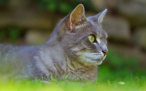 [30+] Profile 4k Wallpapers