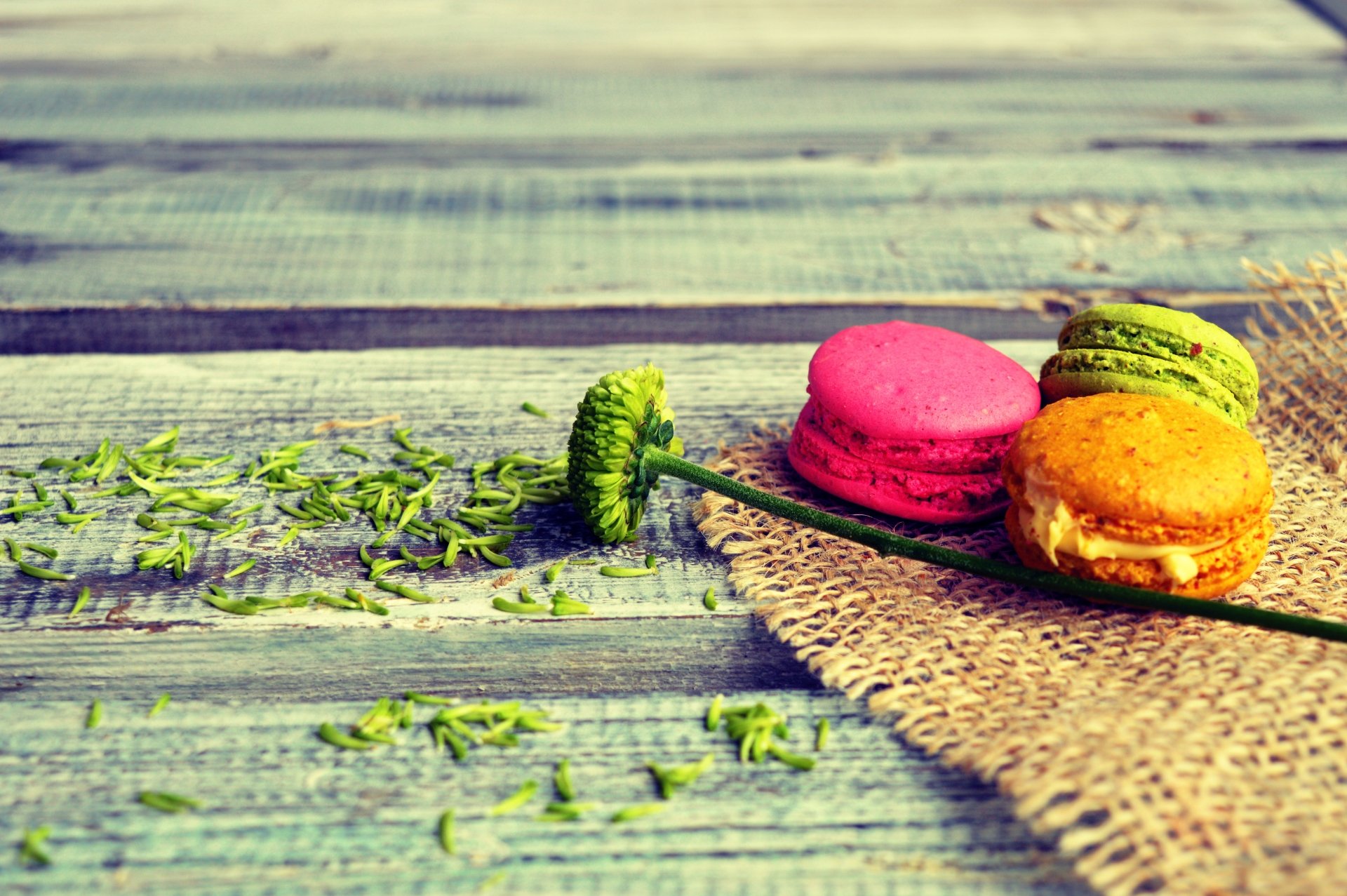 Download Still Life Food Macaron 4k Ultra HD Wallpaper