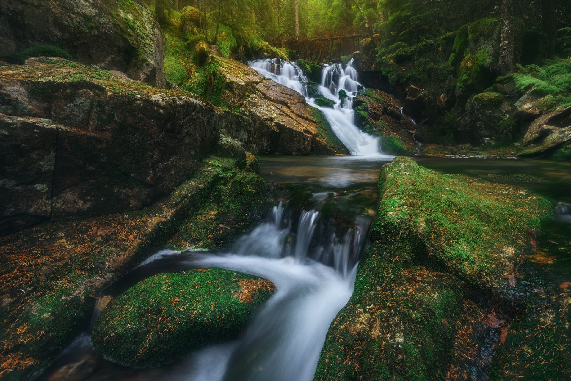 Download Nature Stream HD Wallpaper