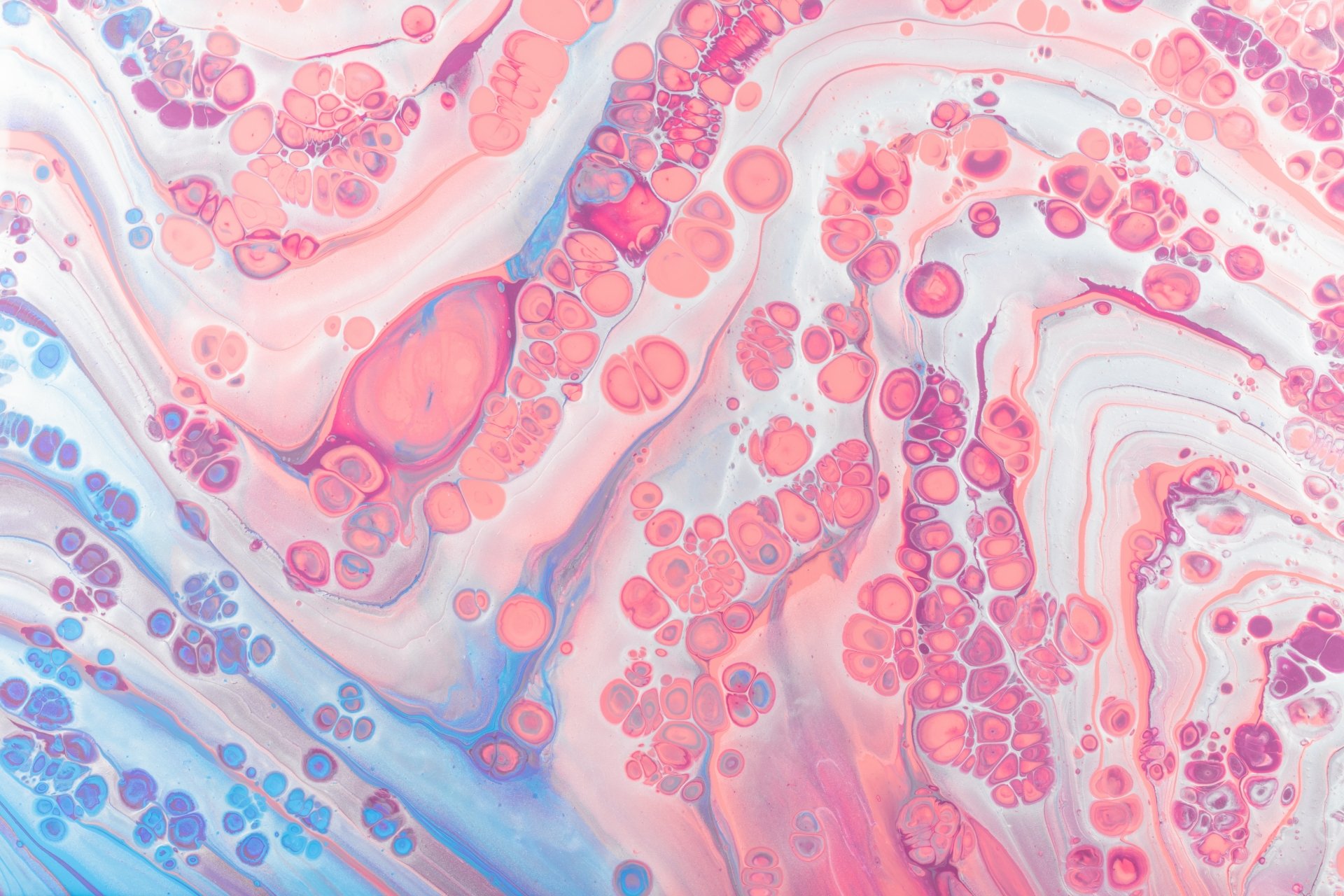 Download Pink Abstract Paint 4k Ultra HD Wallpaper by Pawel Czerwinski ...
