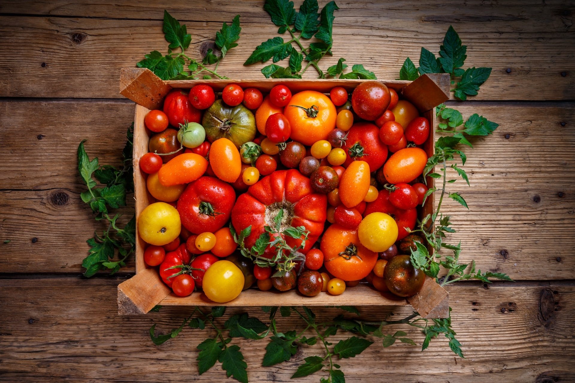 Download Food Tomato HD Wallpaper